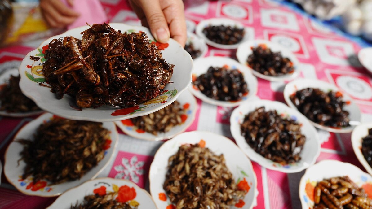 Chefs Make a Tasty Case for Eating Bugs | National Geographic