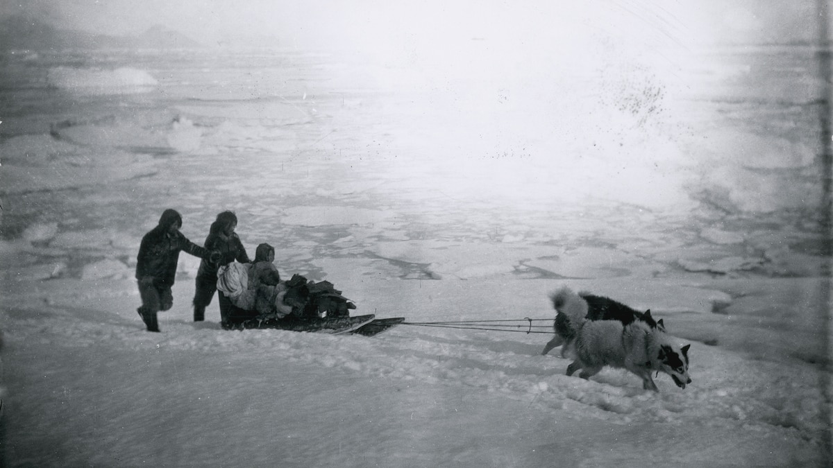 Before the Iditarod: 8 Pictures of Sled Dogs from a Century Ago ...
