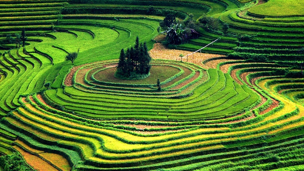 Vietnam Photos -- National Geographic | National Geographic