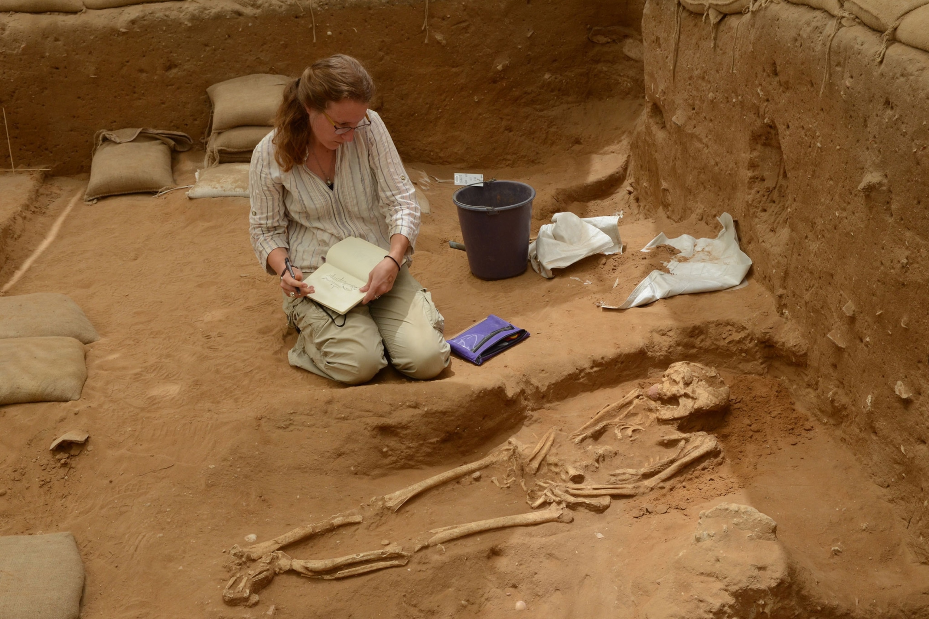 Ancient DNA may reveal origin of the Biblical Philistines