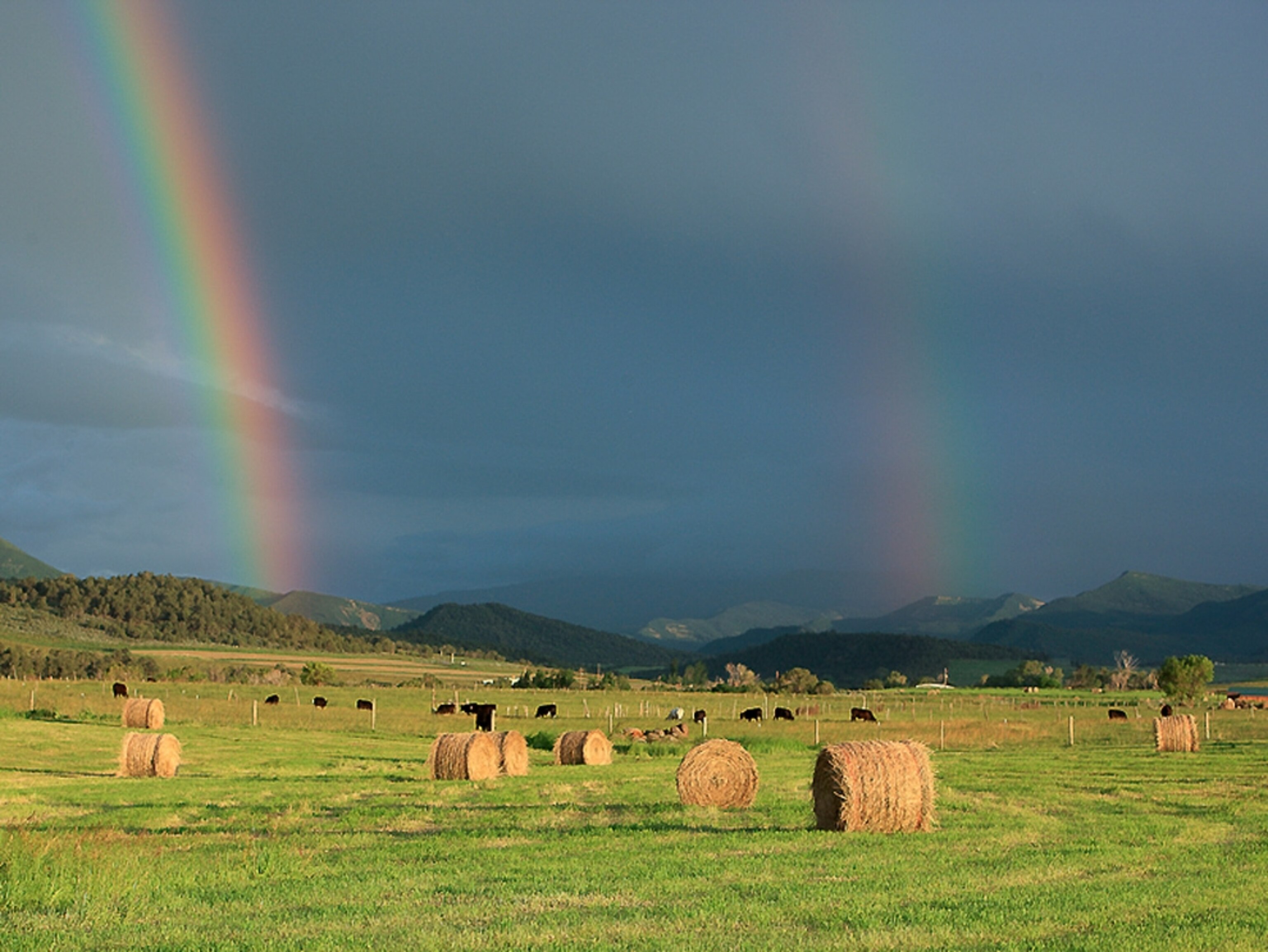 Extremely Rare Quadruple Rainbow Appears In New York