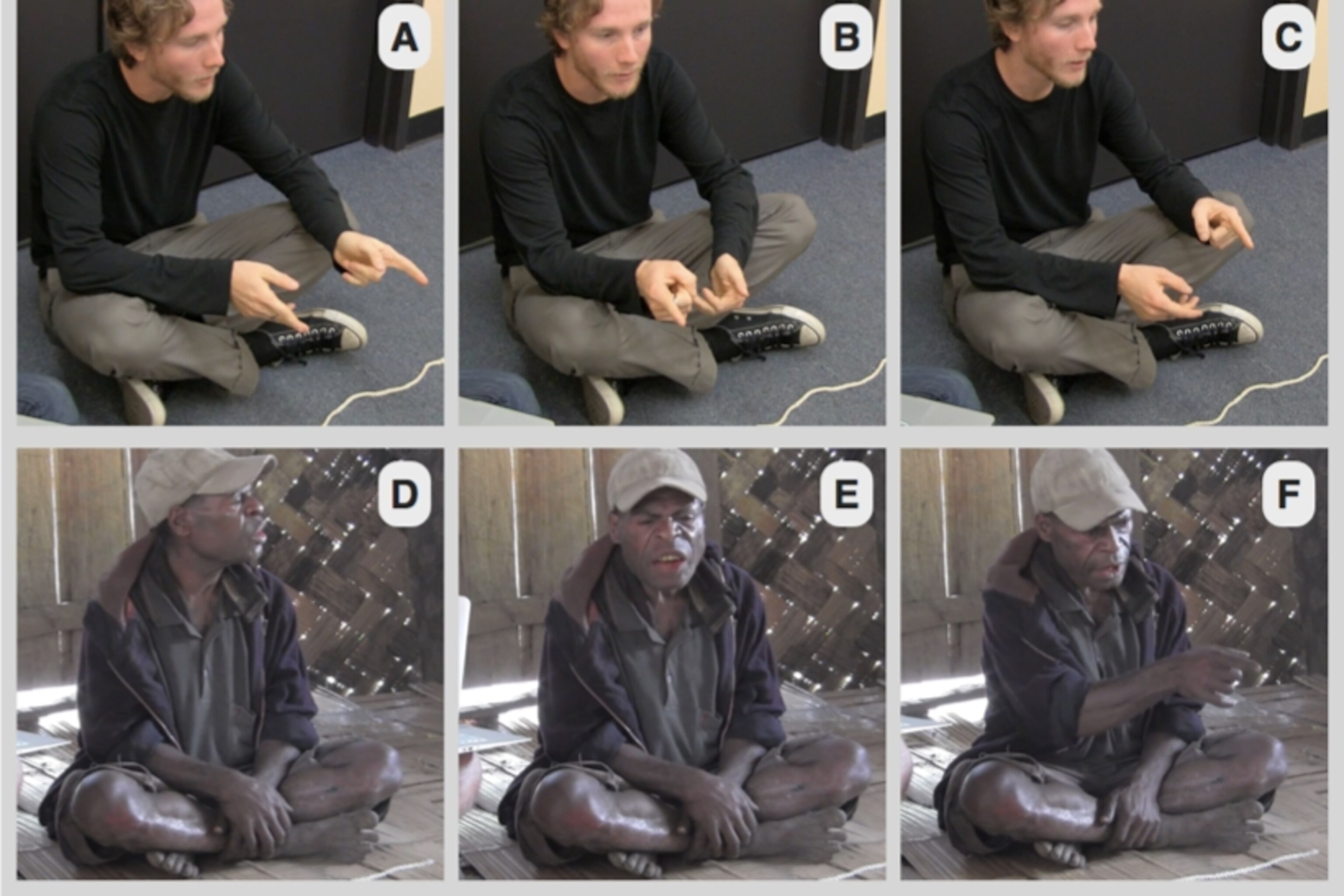 The Point of Pointing