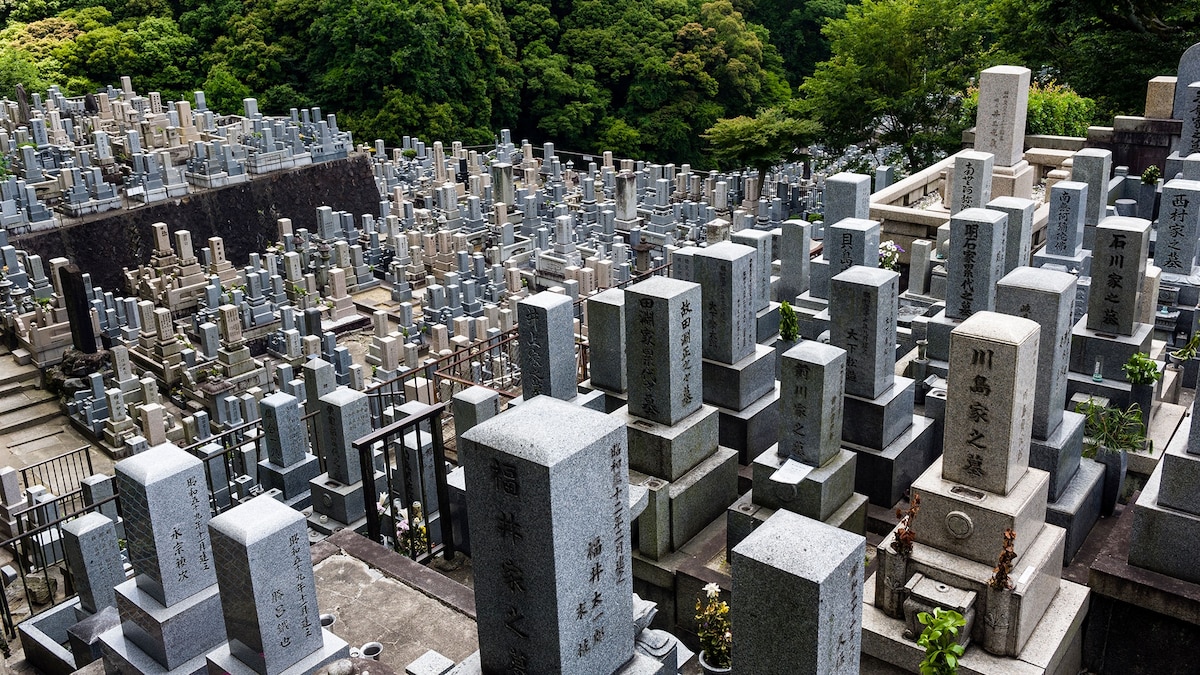 Burn, Mummify, Compost—Different Ways to Treat the Dead | National ...