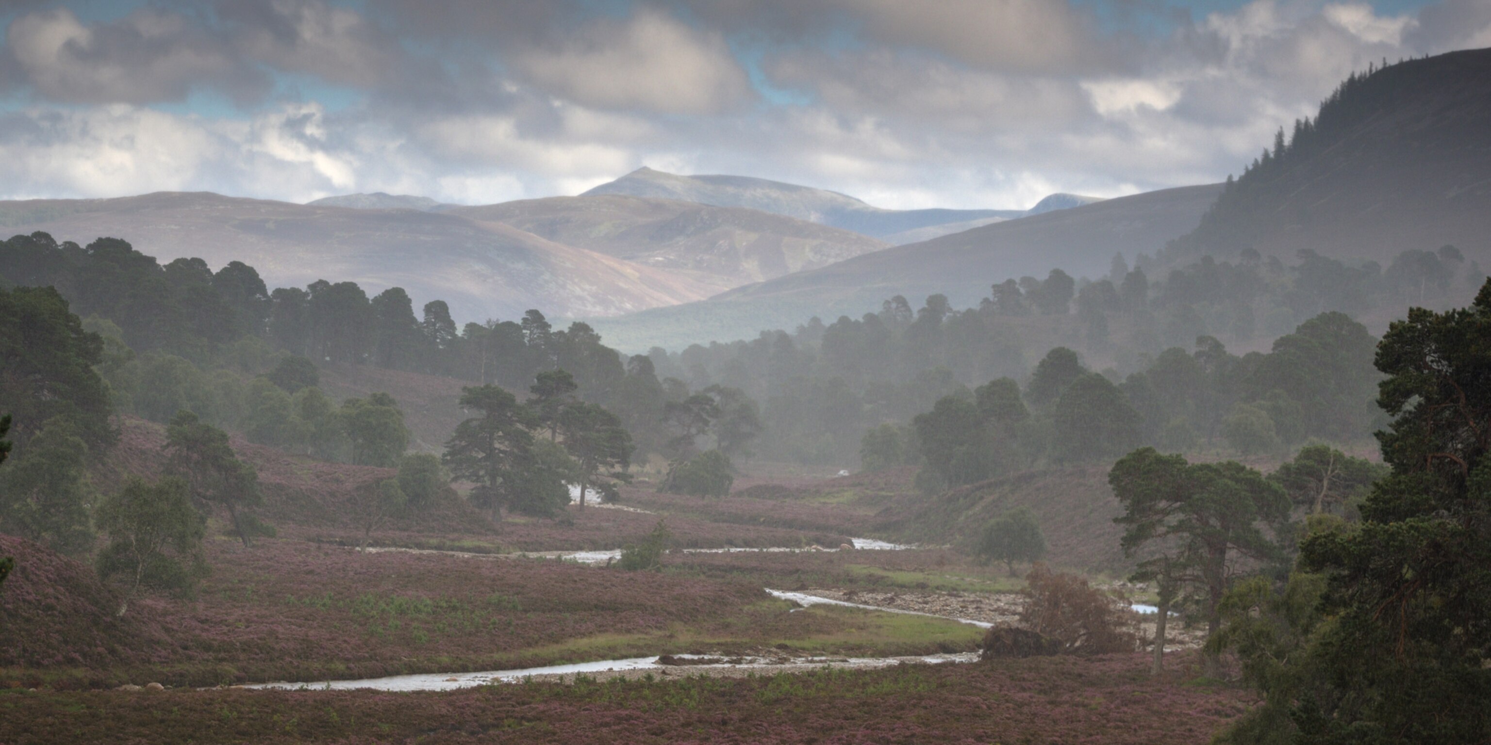 What Will Become of Scotland's Moors?
