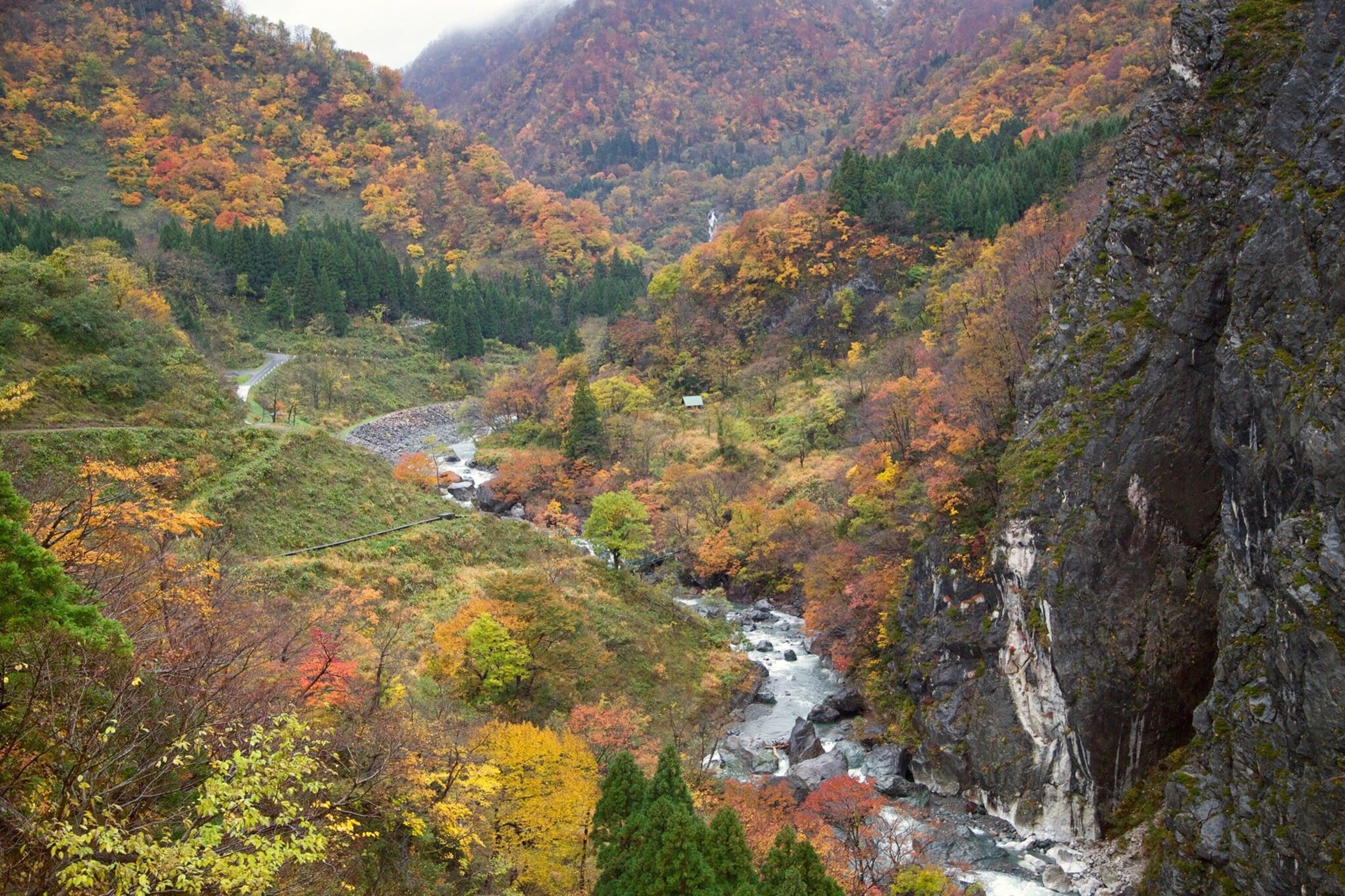 A nature-lover’s guide to slow train travel in Japan