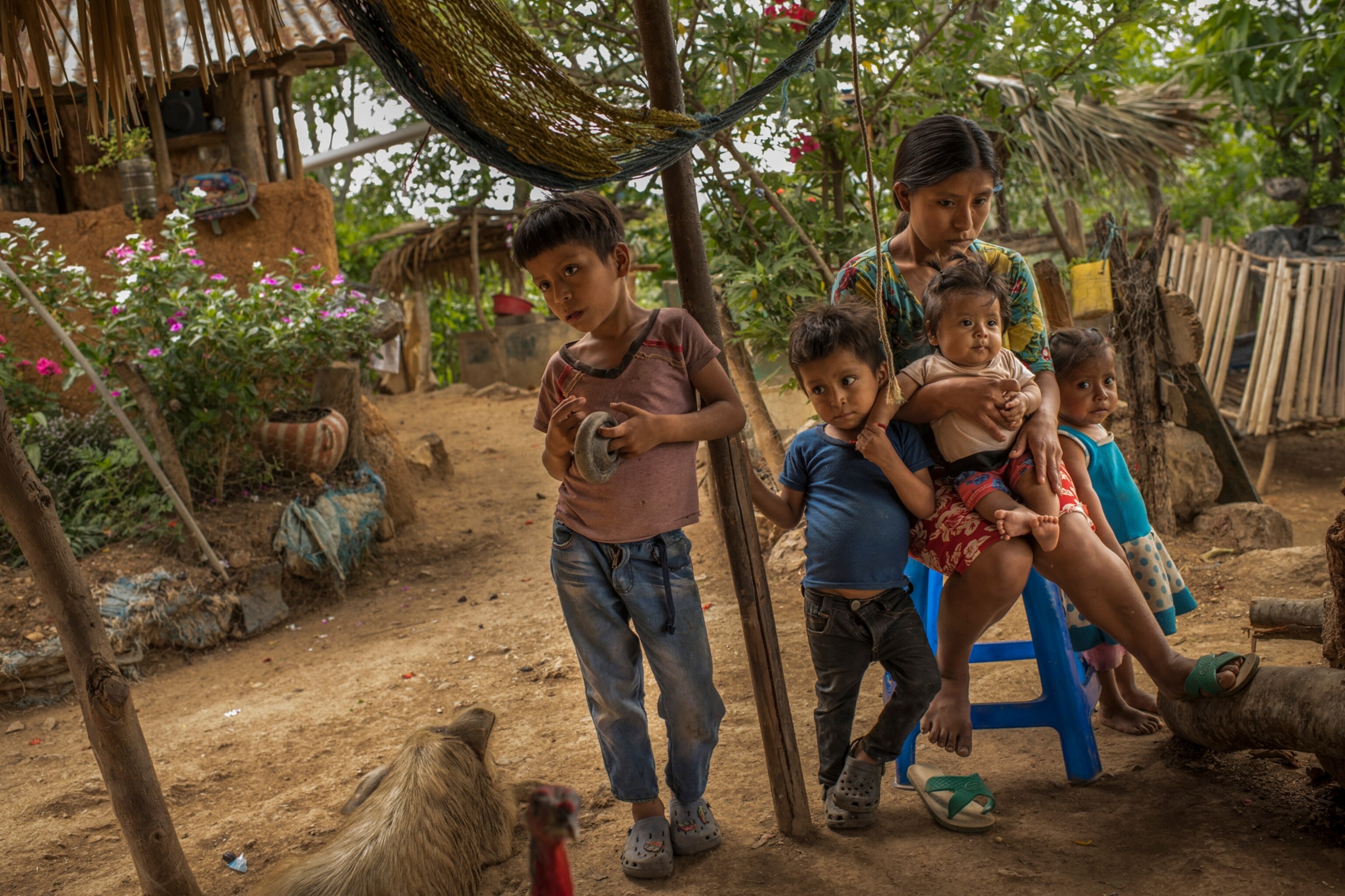 A hunger crisis forces Guatemalans to choose: migration or death