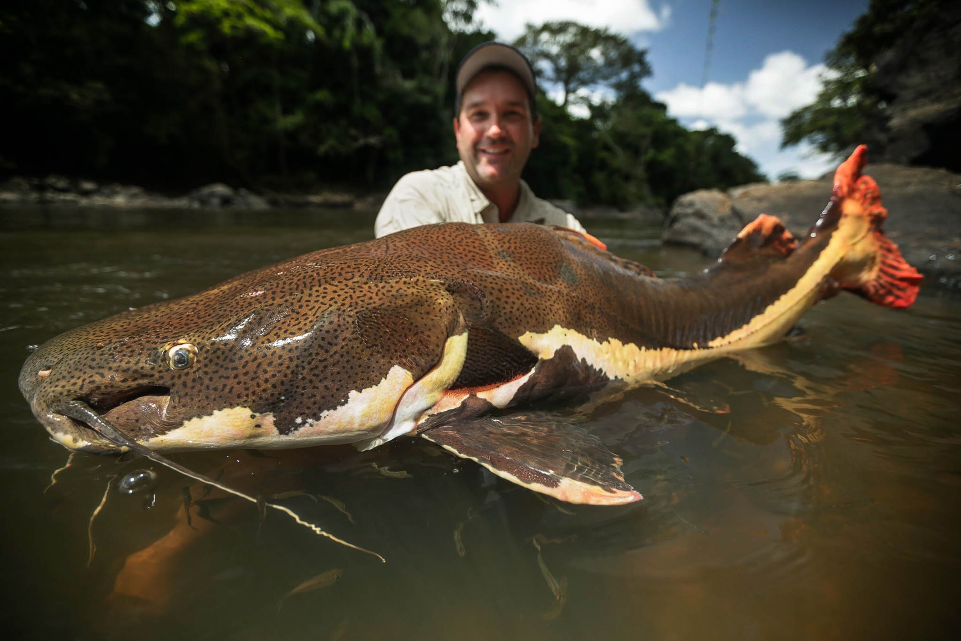 Swimming with the World’s Biggest Fish