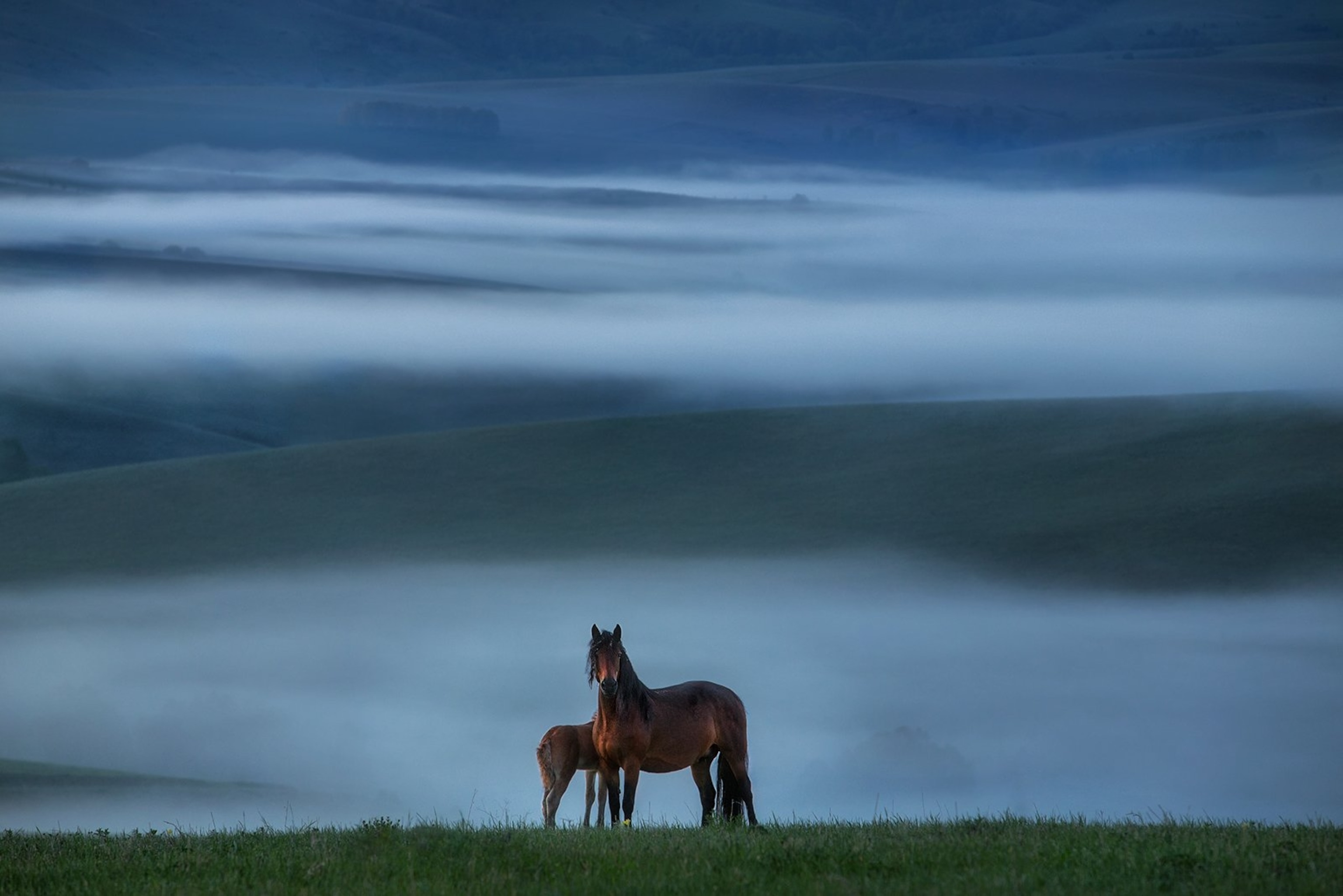 Your best photos of the week, August 16, 2019