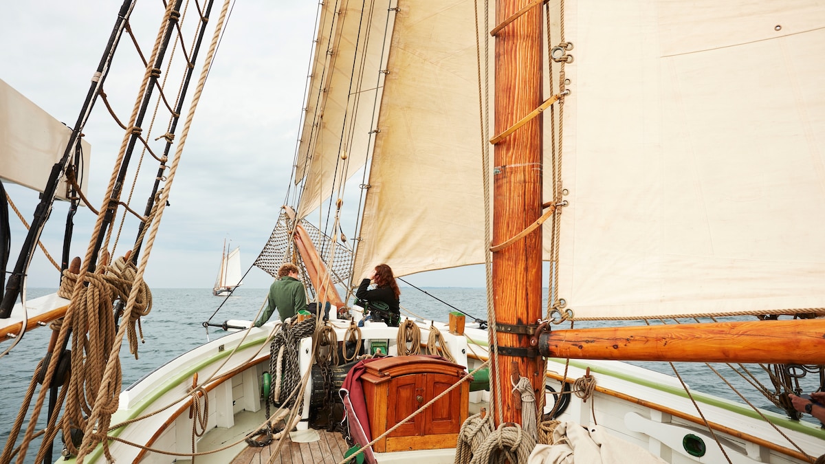 Learn the ropes on a hands-on sailing voyage around Denmark's South ...
