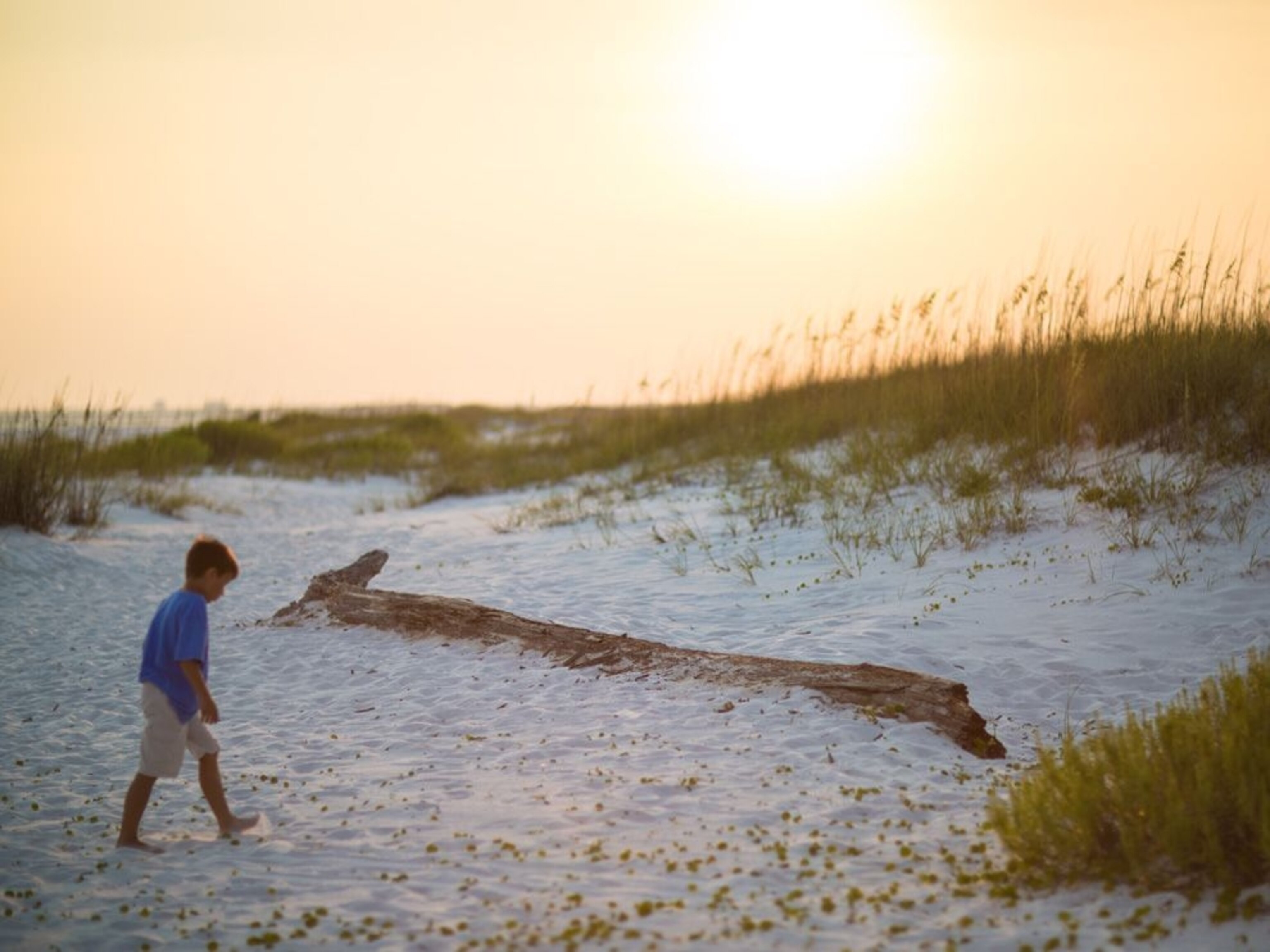 Photos: Florida From Dawn to Dusk -- National Geographic Travel