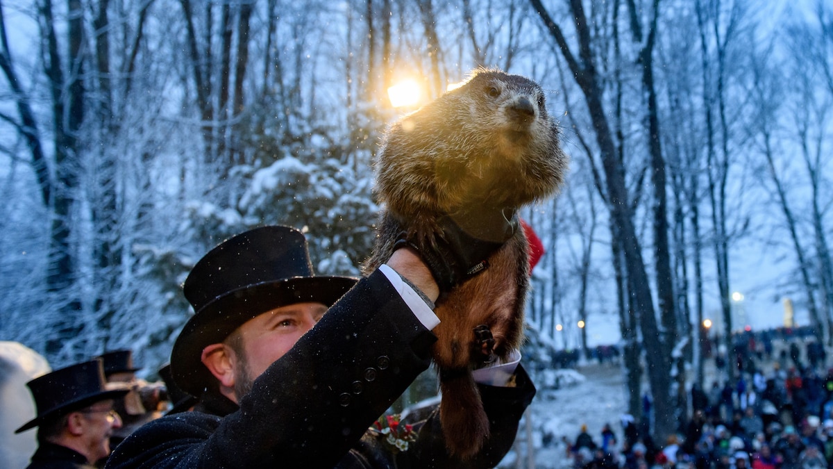 Groundhog predictions of spring no better than chance | National Geographic