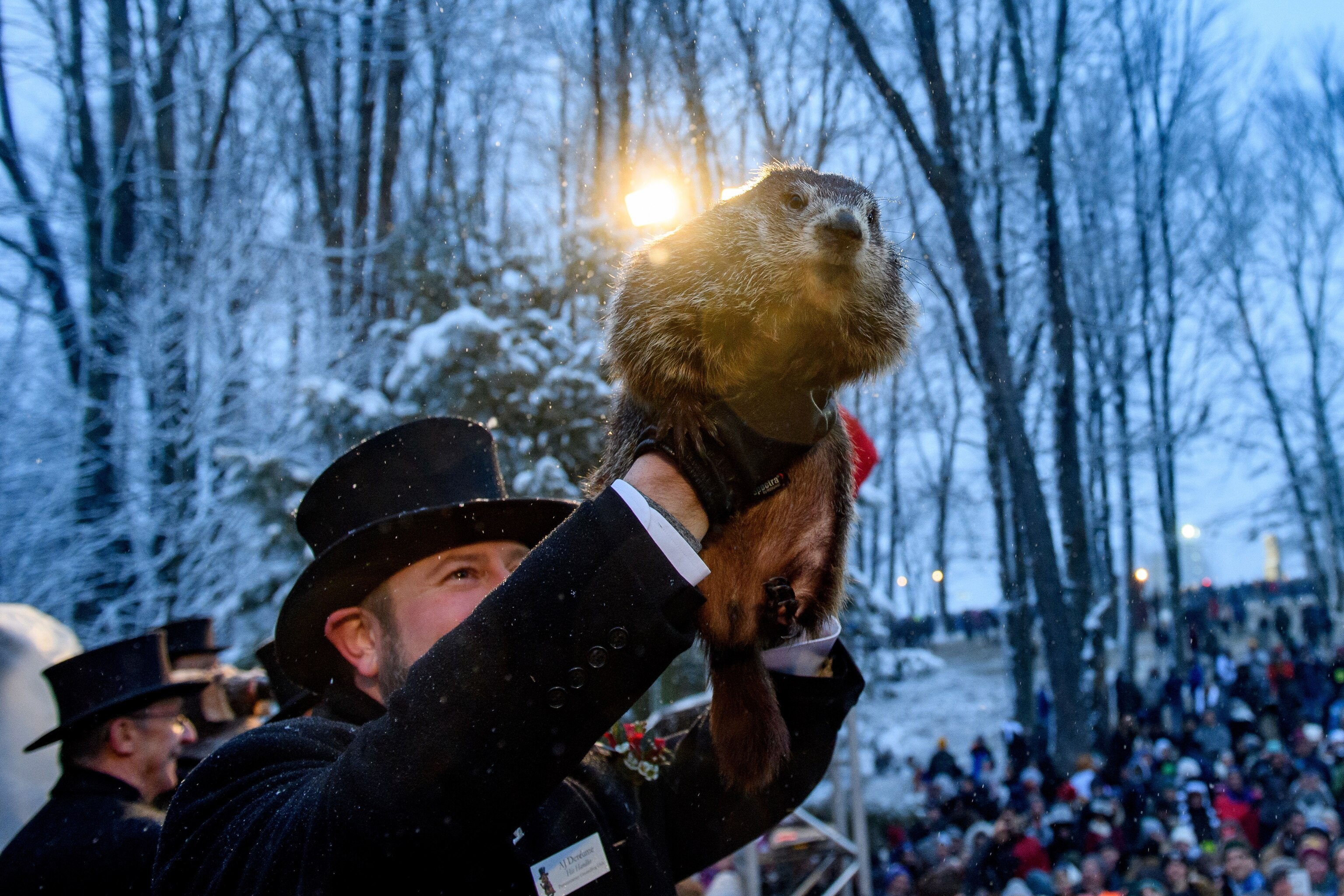 Groundhog predictions of spring no better than chance