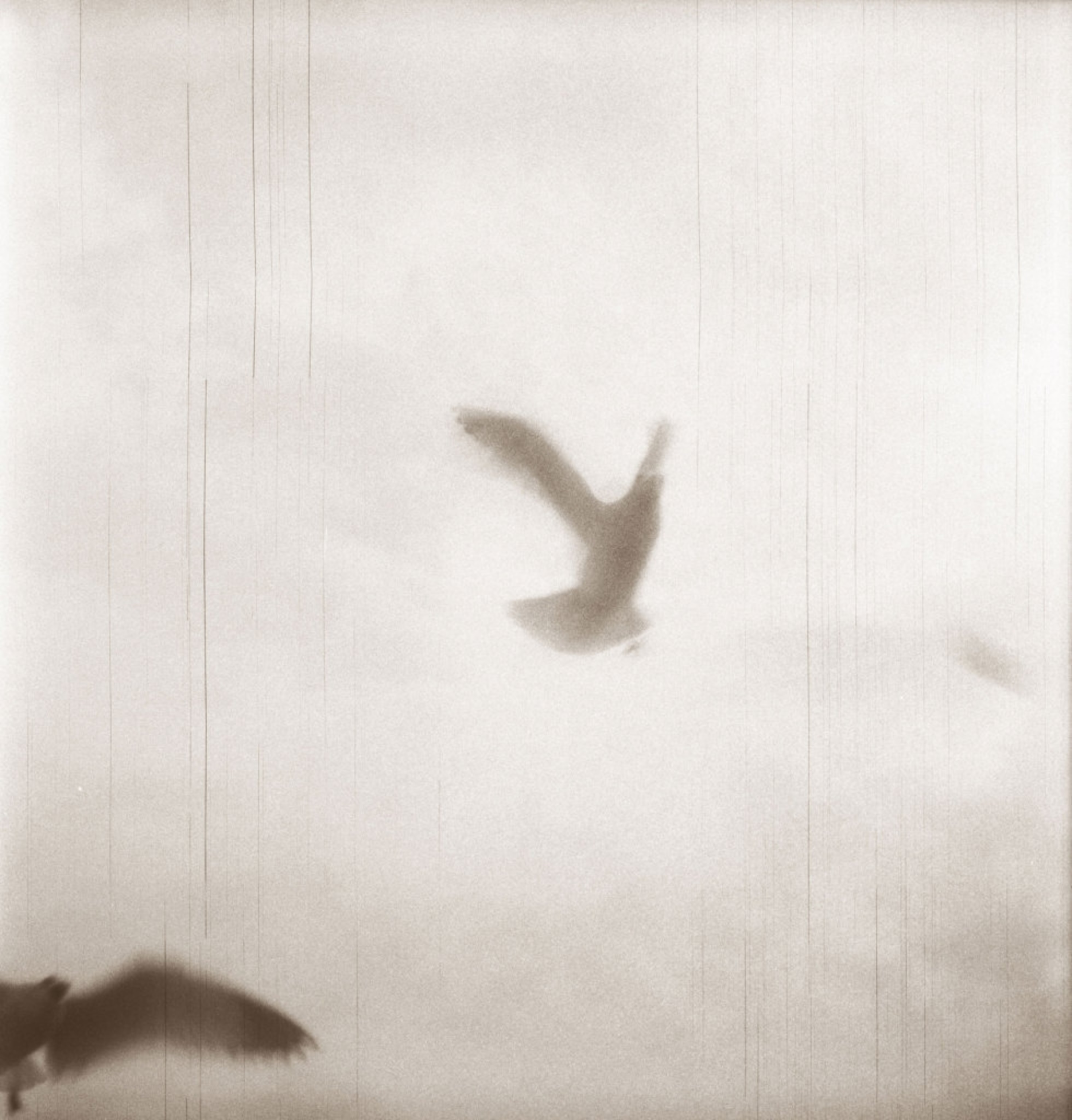 The Story of Flight Told in One Roll of Film | National Geographic