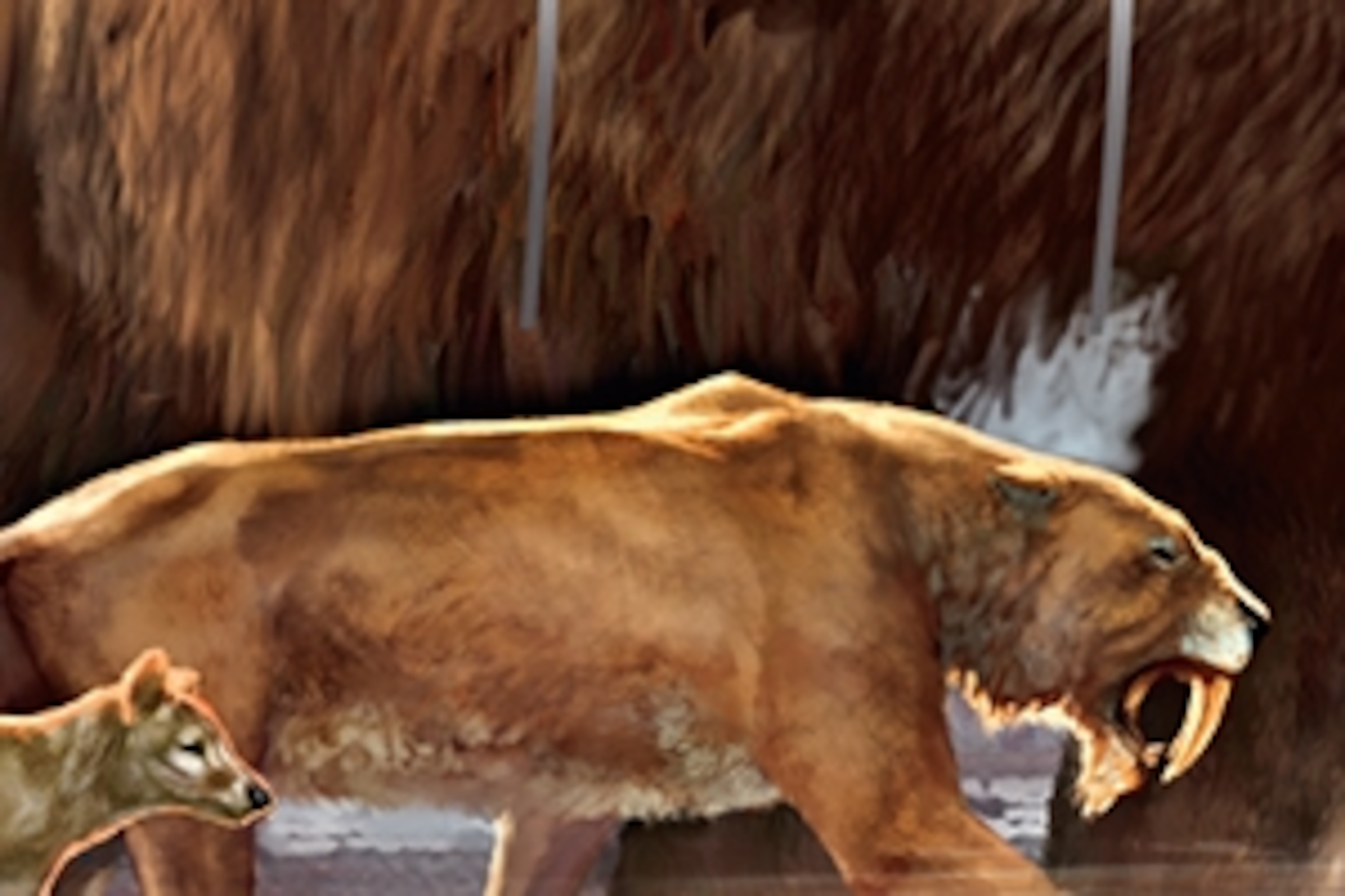 Top 10 Extinct Animals That Scientists Want To Bring Back, 57% OFF