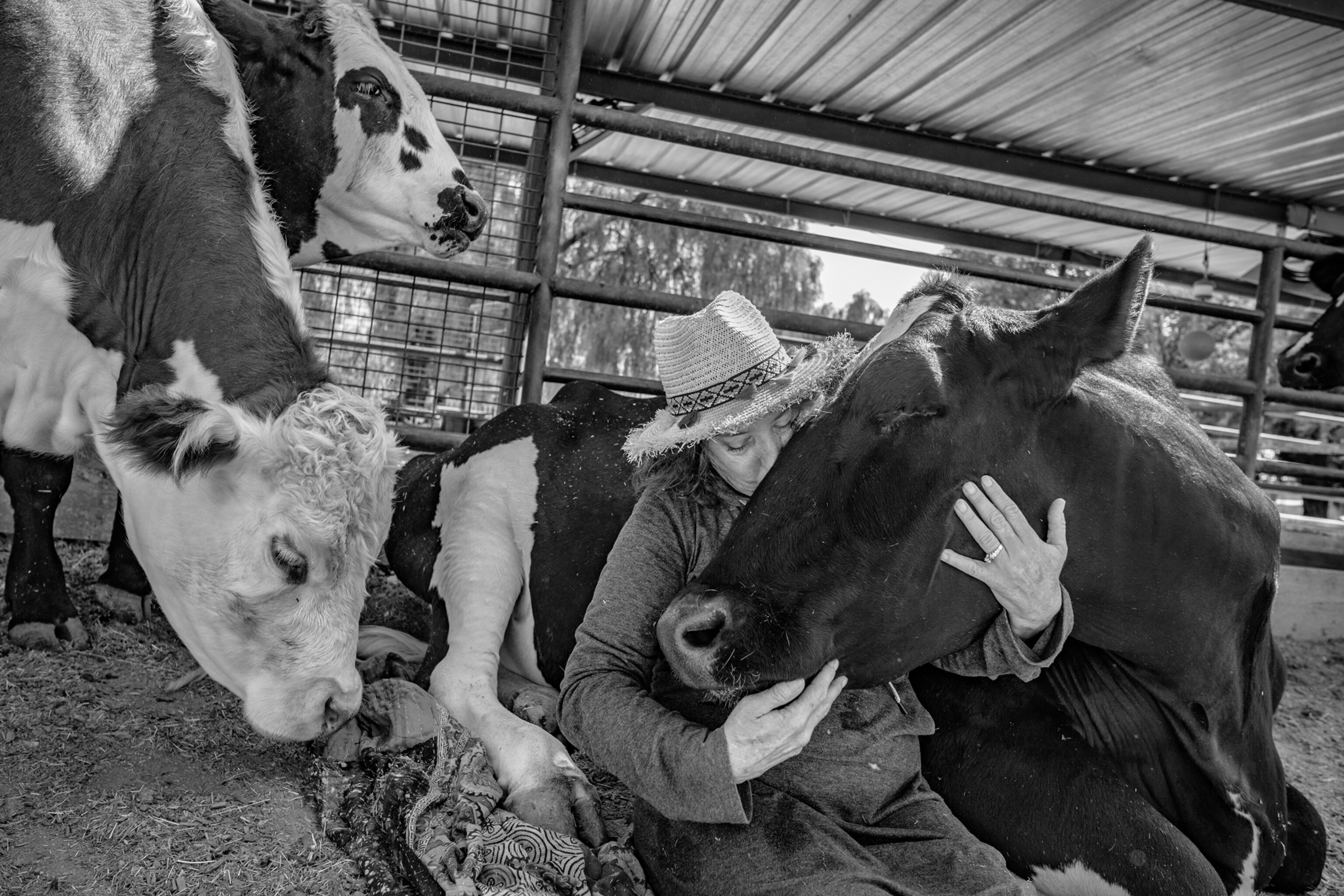 The audacious science pushing the boundaries of human touch