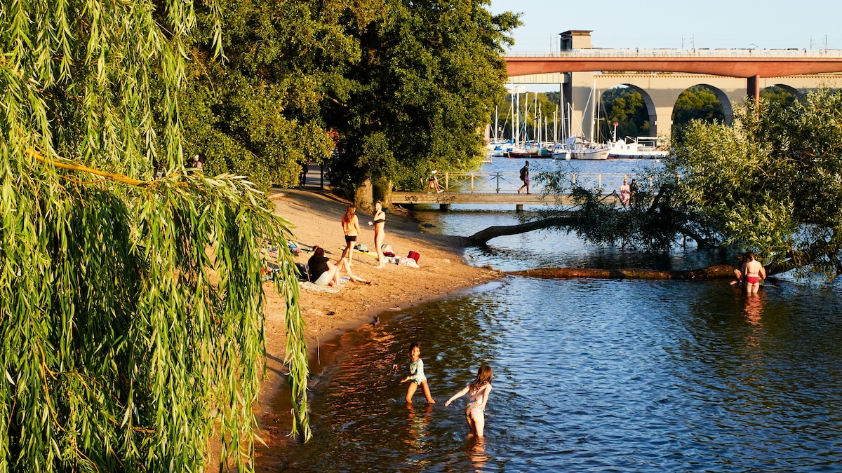 How to spend a day in Stockholm, from morning fika to dinner on the ...