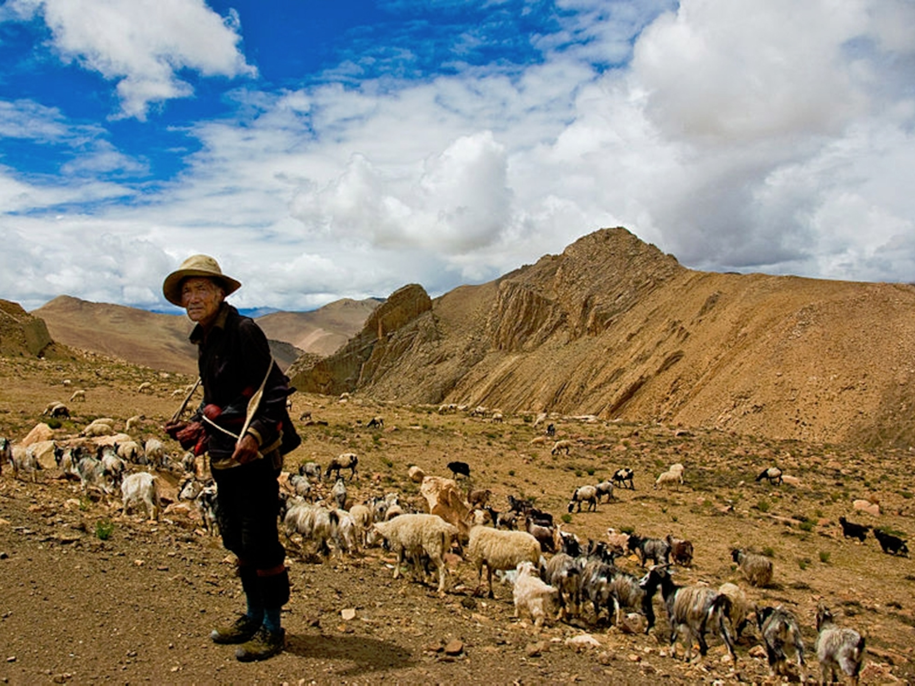 Extinct Humans Passed High-Altitude Gene to Tibetans