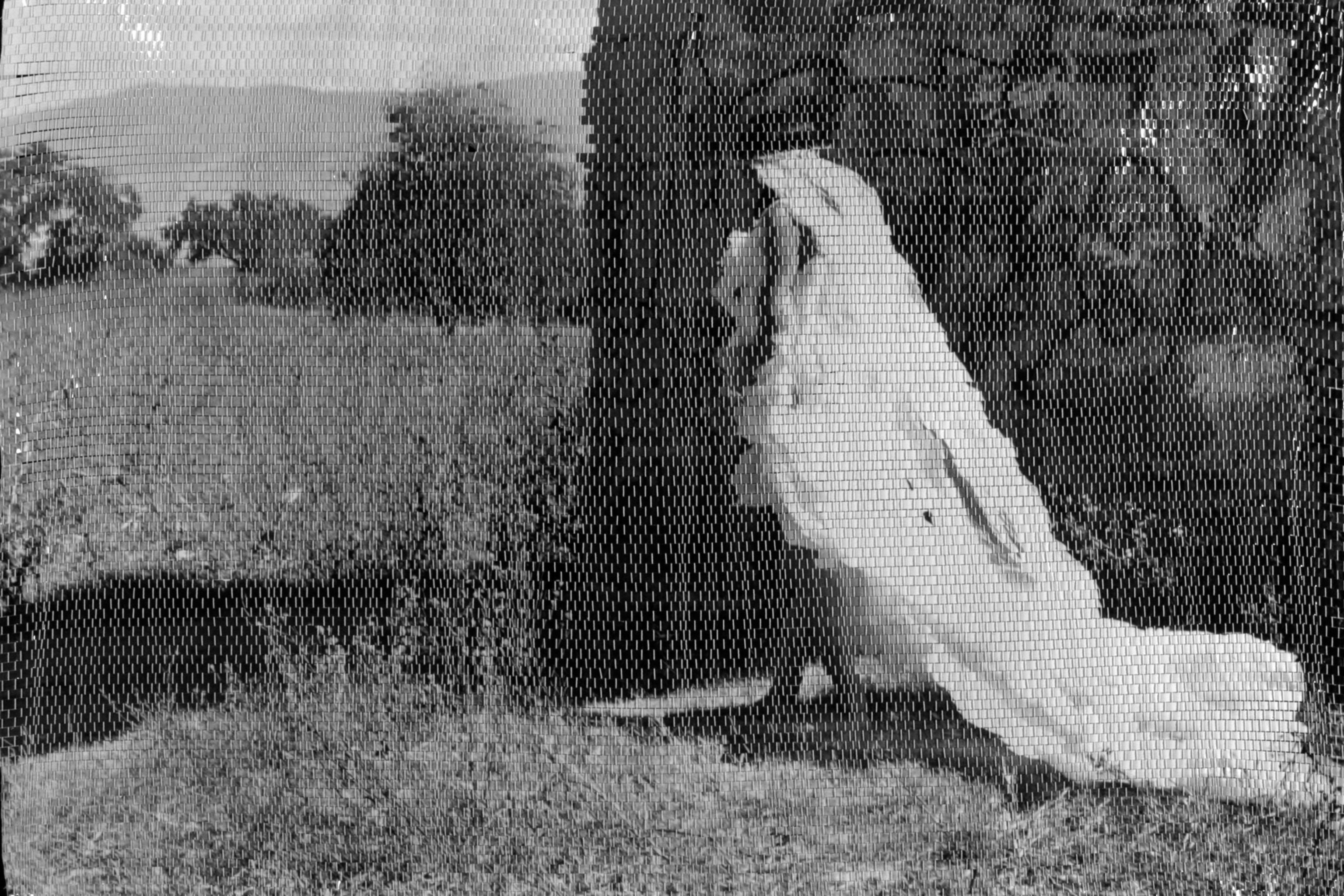 Blind Photographers Push the Envelope of Expression