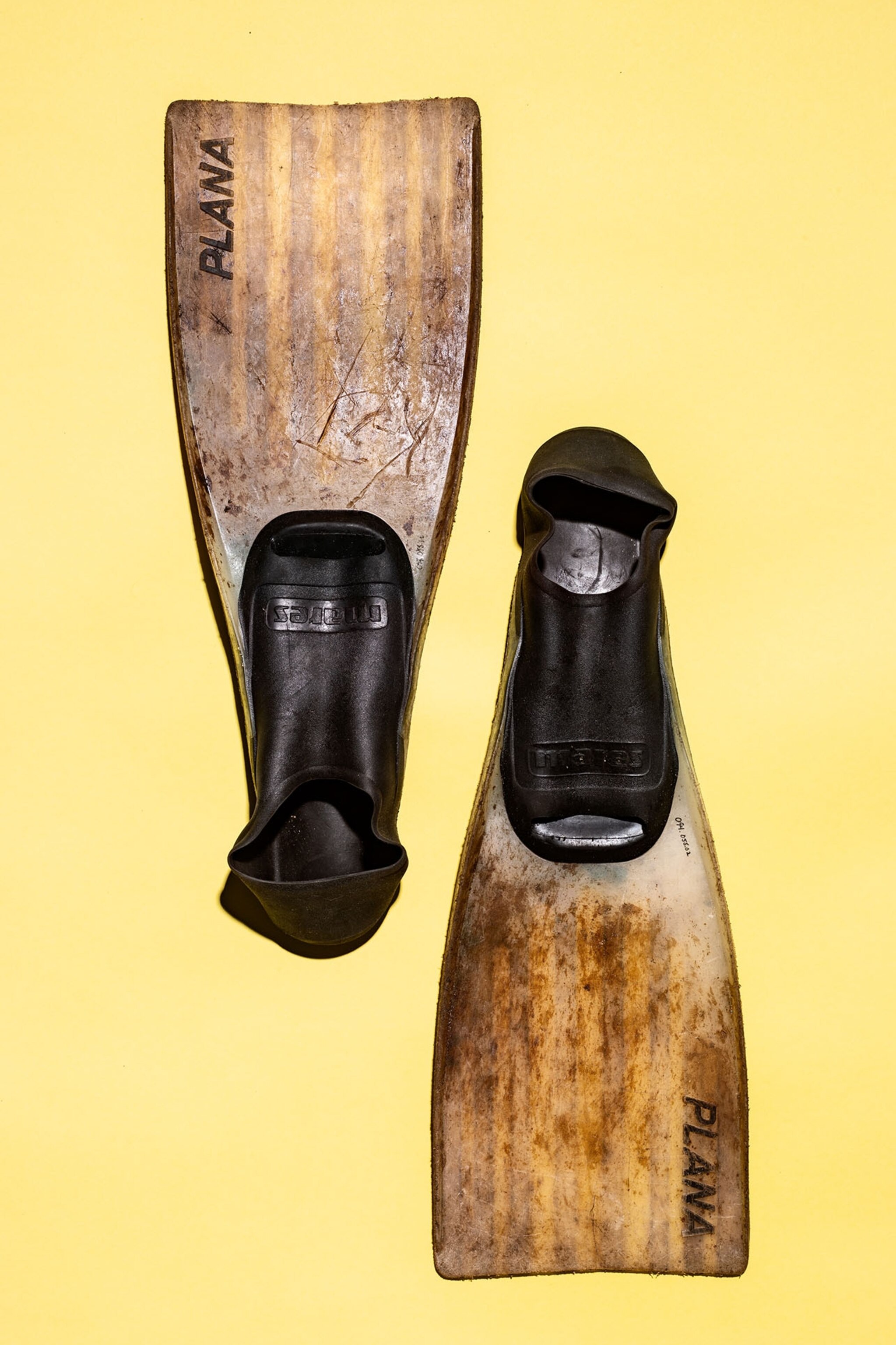 Humble diving fins sped this scientist into history