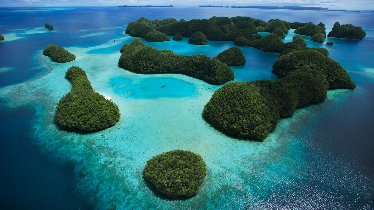 The Pacific Is About to Get a Massive New Ocean Reserve | National ...