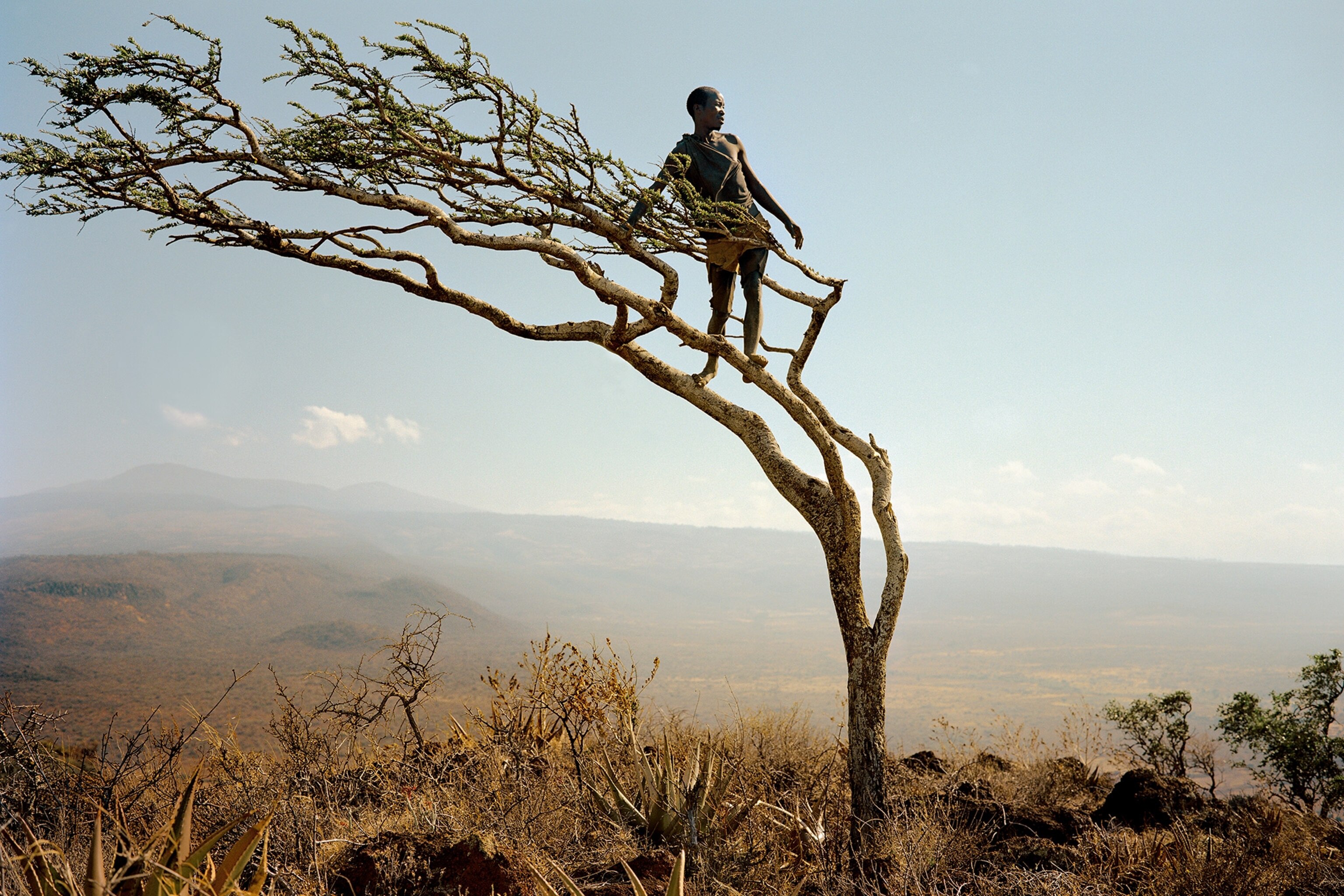 For Arbor Day, Photographs of Trees