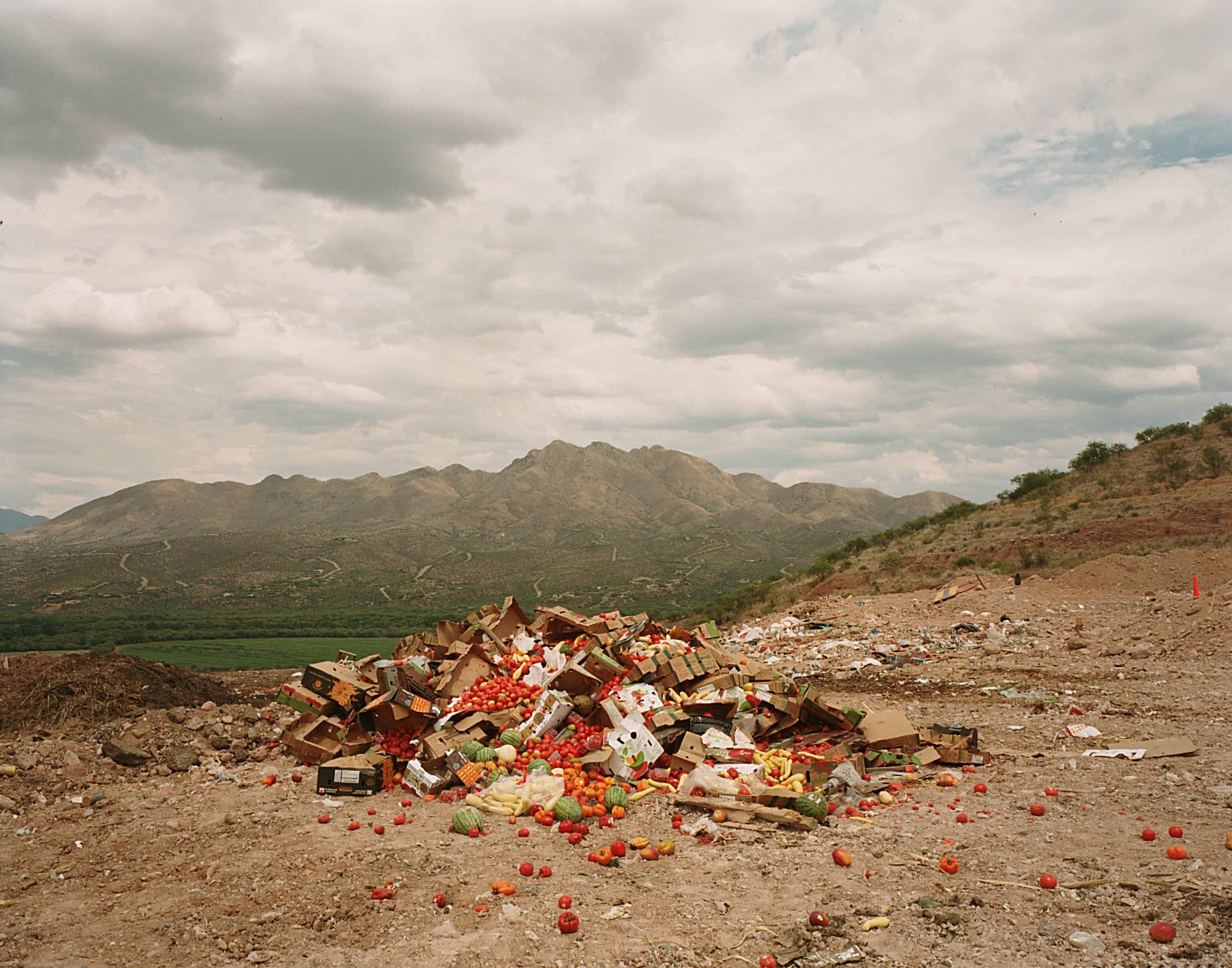 Rescuing Rejected Food to Feed the Hungry at the U.S.-Mexico Border ...