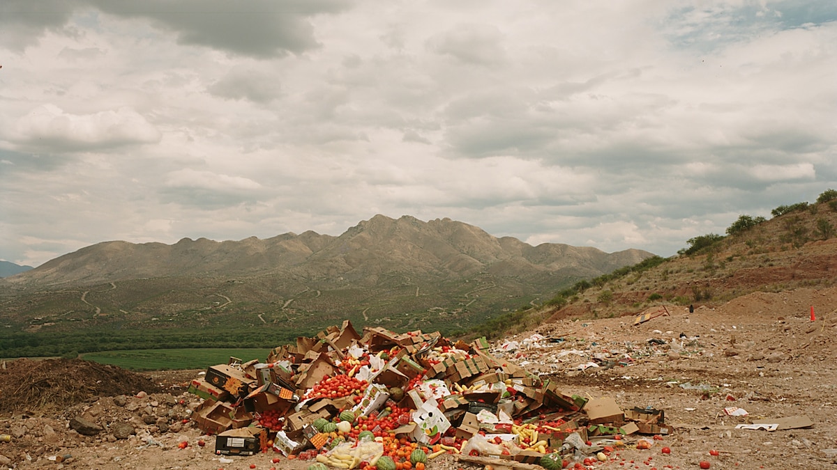 Rescuing Rejected Food to Feed the Hungry at the U.S.-Mexico Border ...