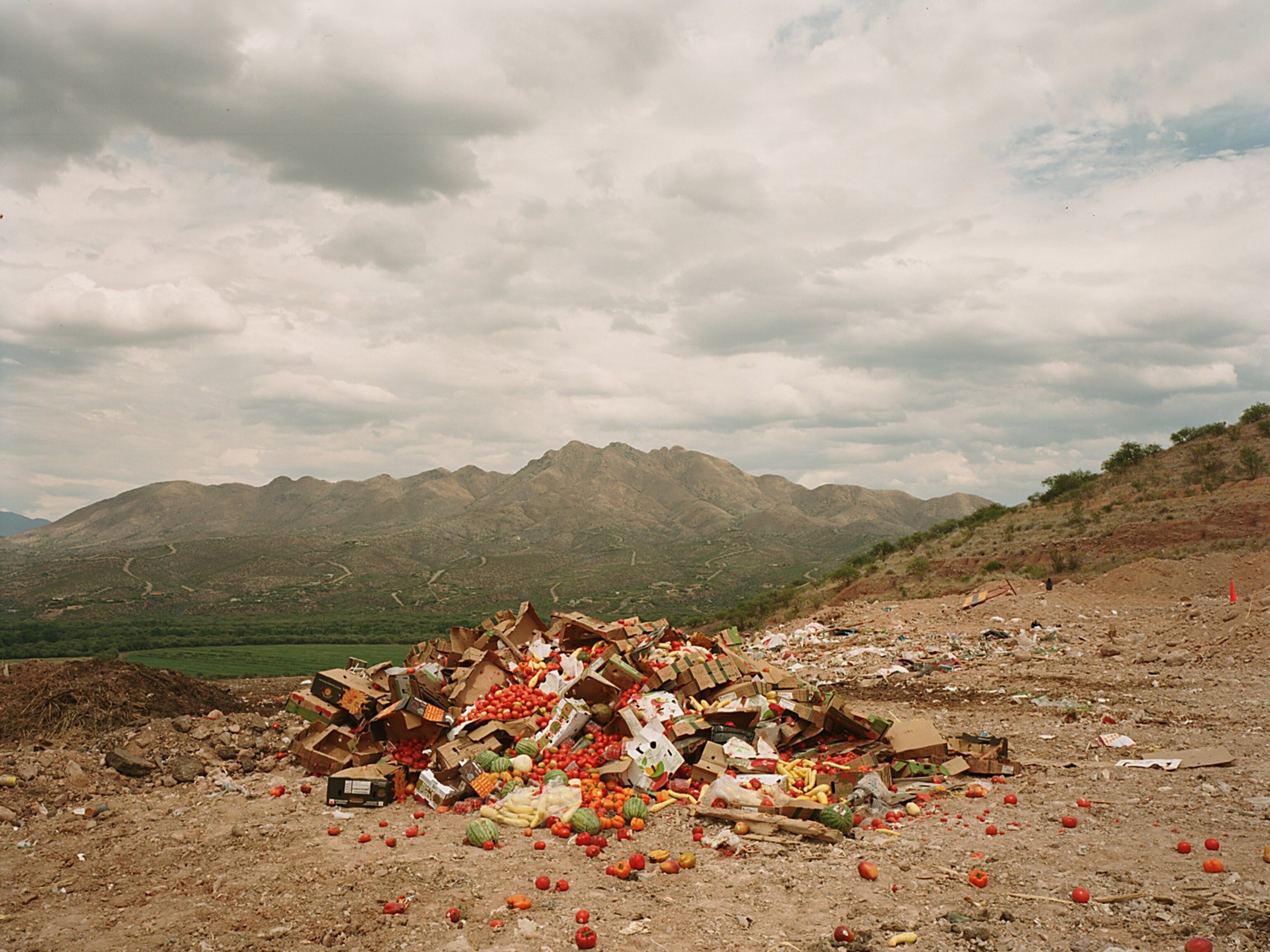 Rescuing Rejected Food to Feed the Hungry at the U.S.-Mexico Border