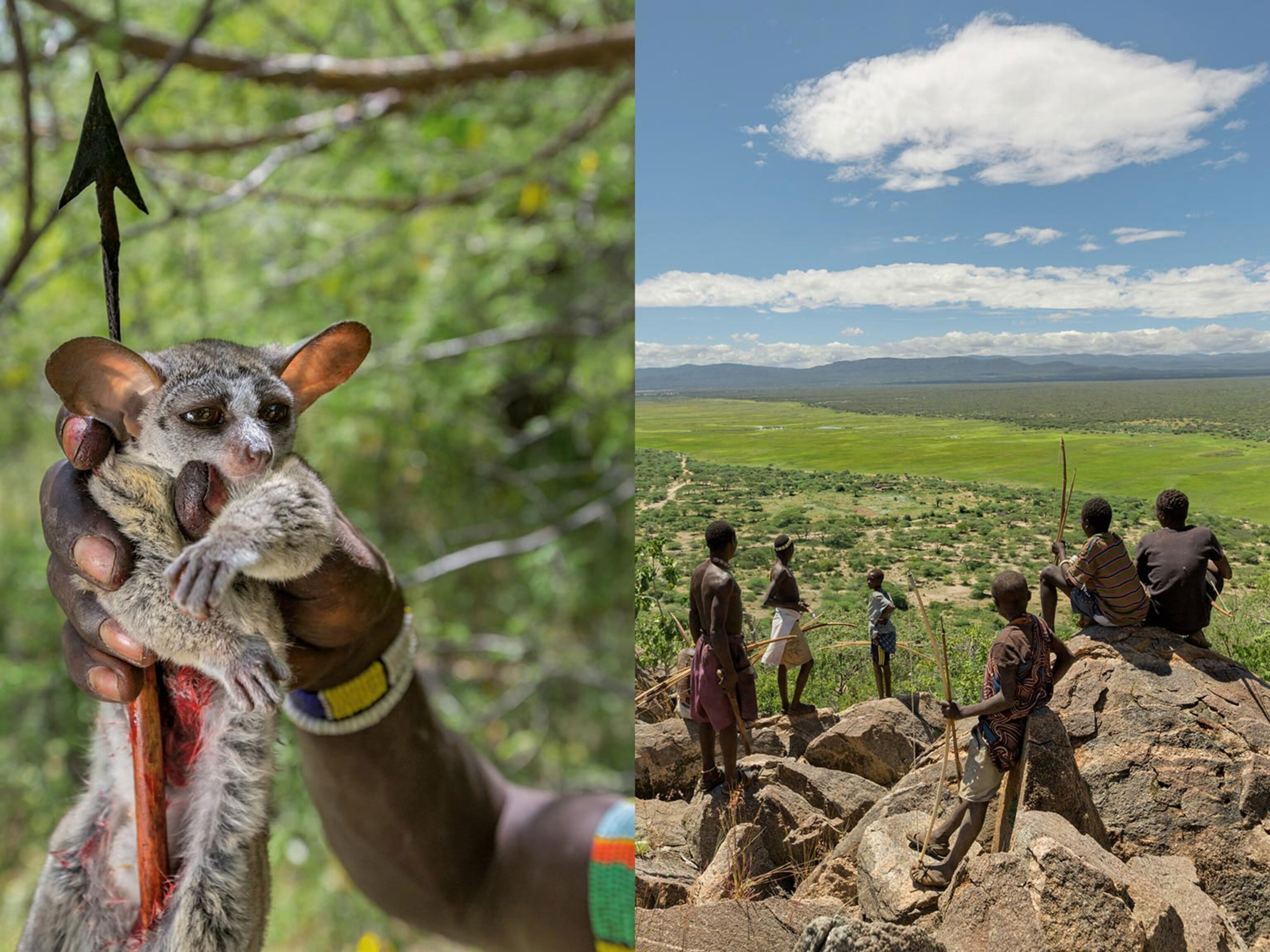 We Are What We Eat: Hunting the Hadza Way With Bows, Arrows, and Ingenuity