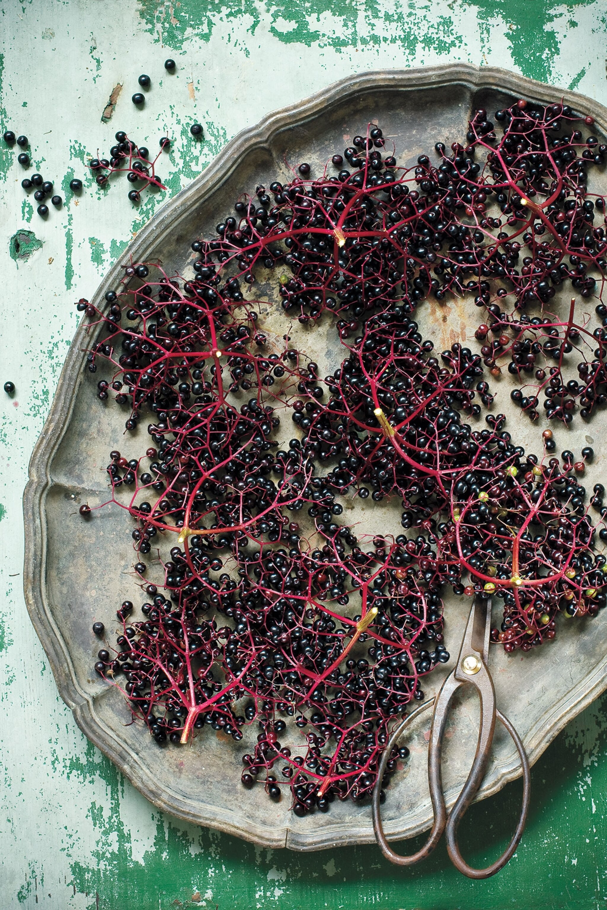 7 herbs that may help fight cold and flu