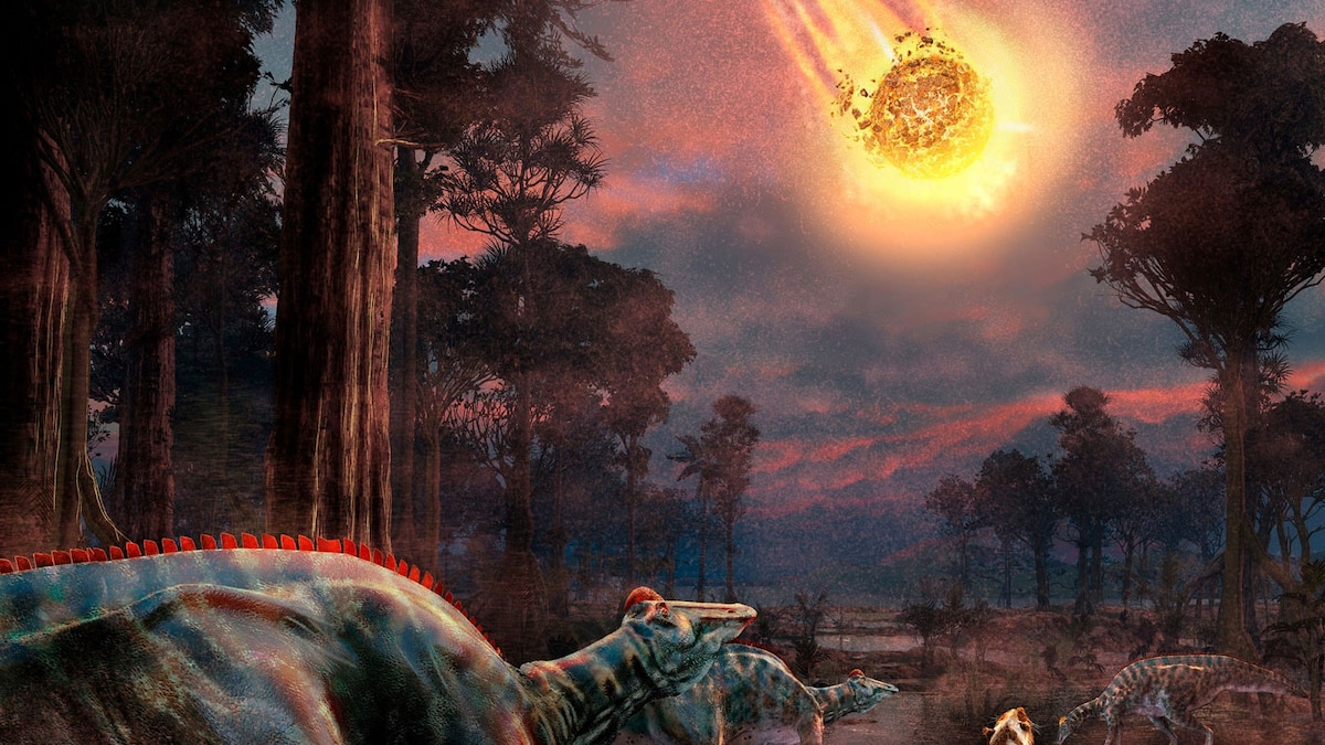 We just learned where the asteroid that ended dinosaurs came from | National Geographic