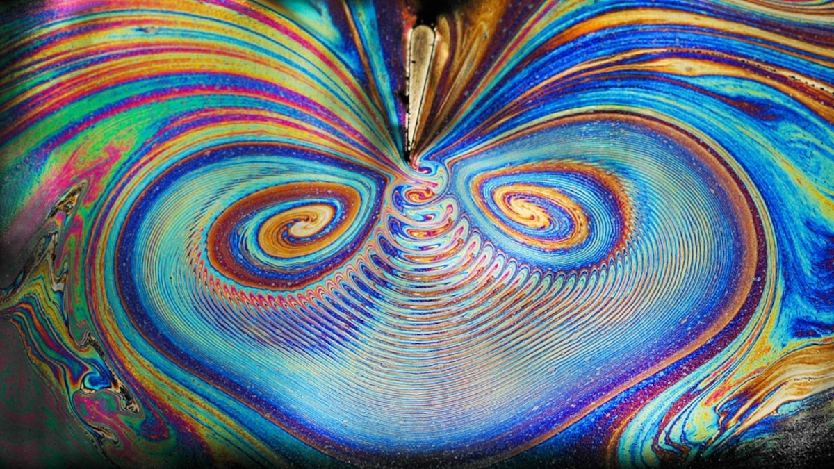 Best Fluid Motion Pictures Named | National Geographic