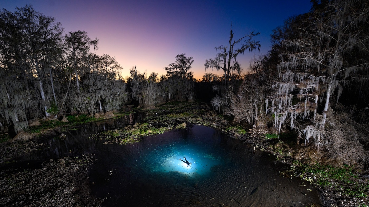 See a ghost 'fairyland' forest reemerge in Florida | National Geographic