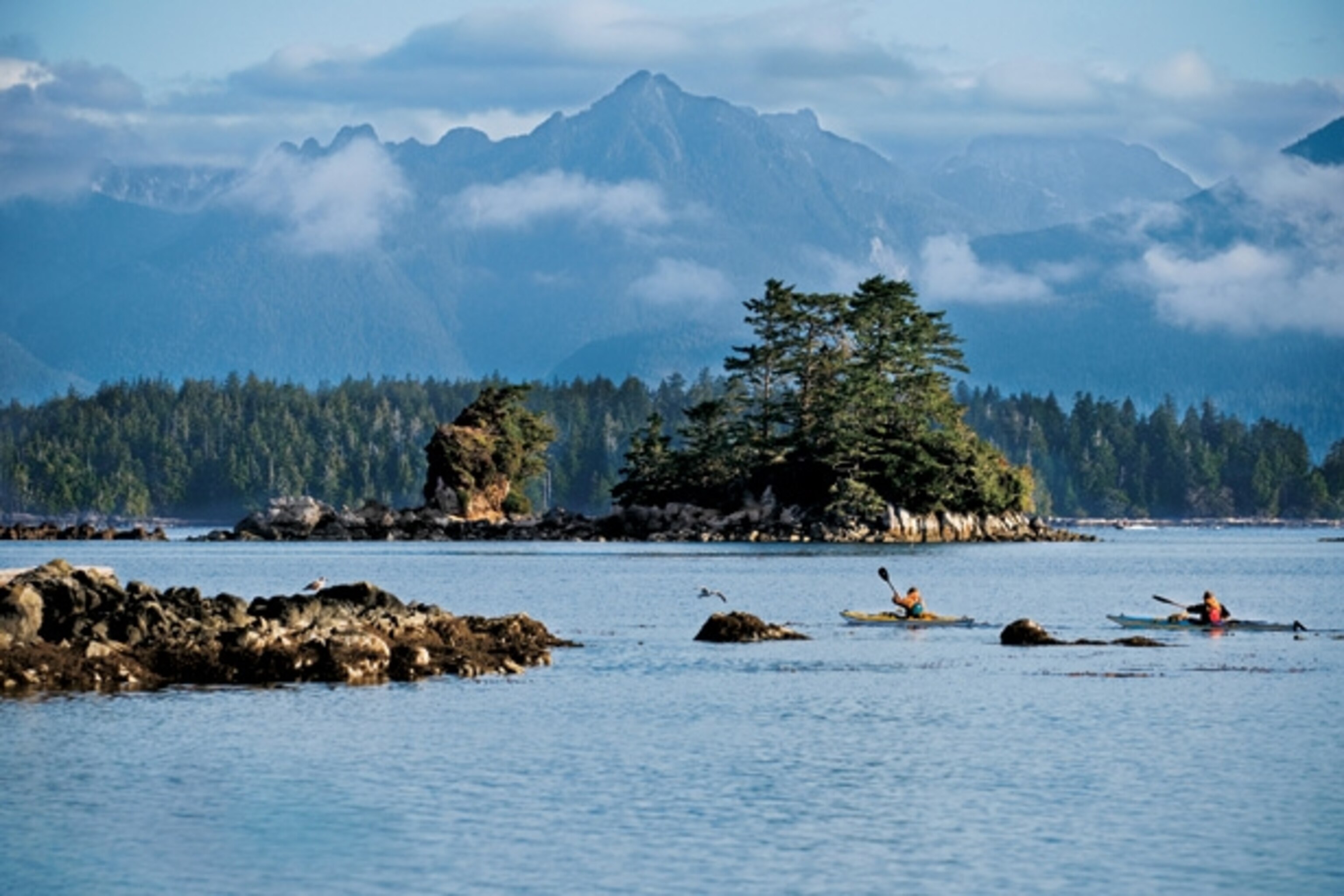 Hello, British Columbia: Four Trips in the Land of the Olympics ...