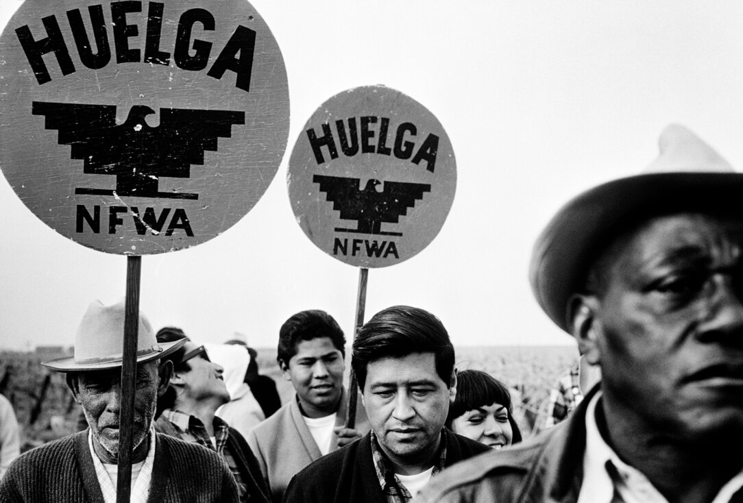 Cesar Chavez Protest Symbol