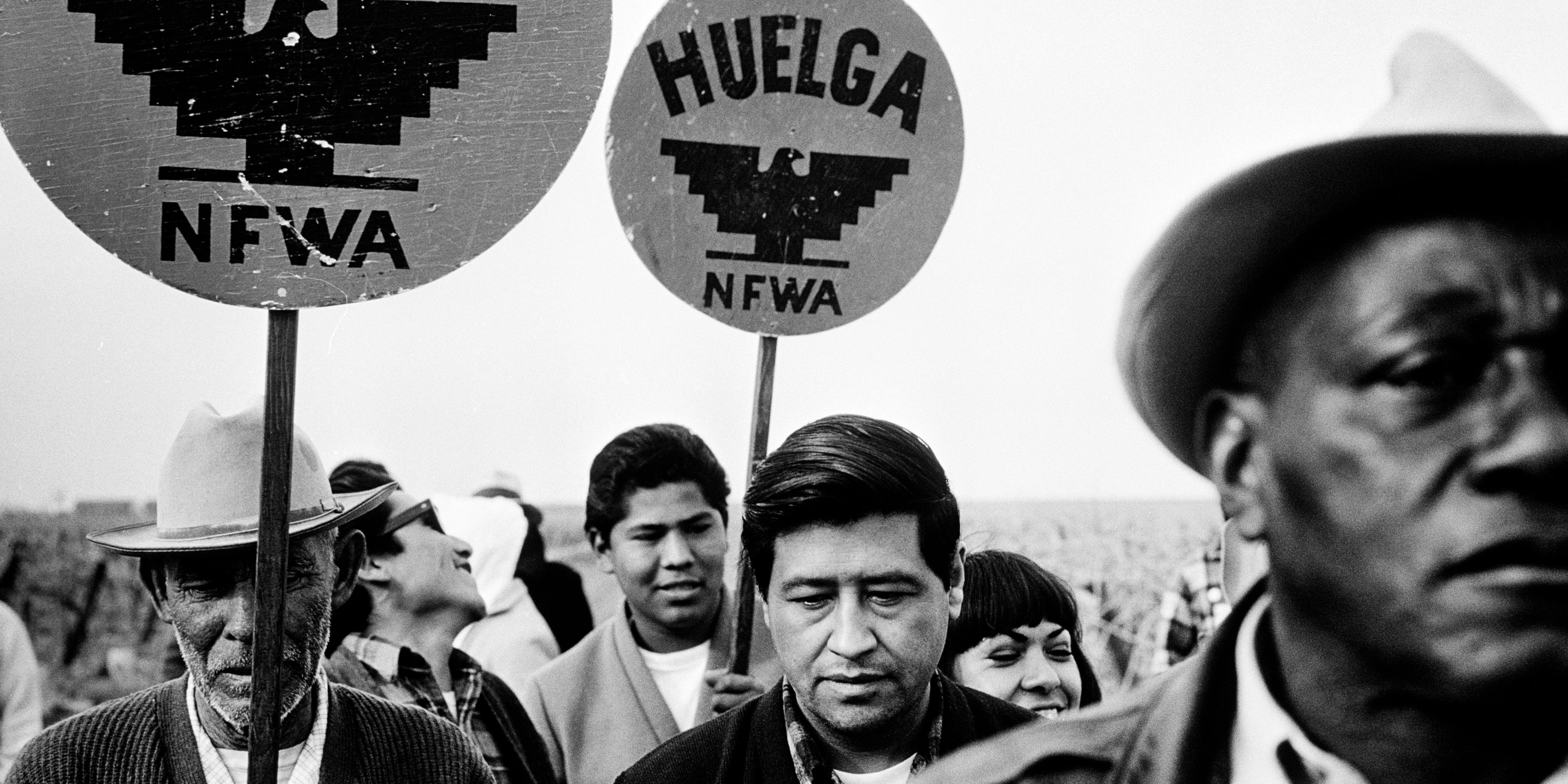 Cesar Chavez Working In The Fields