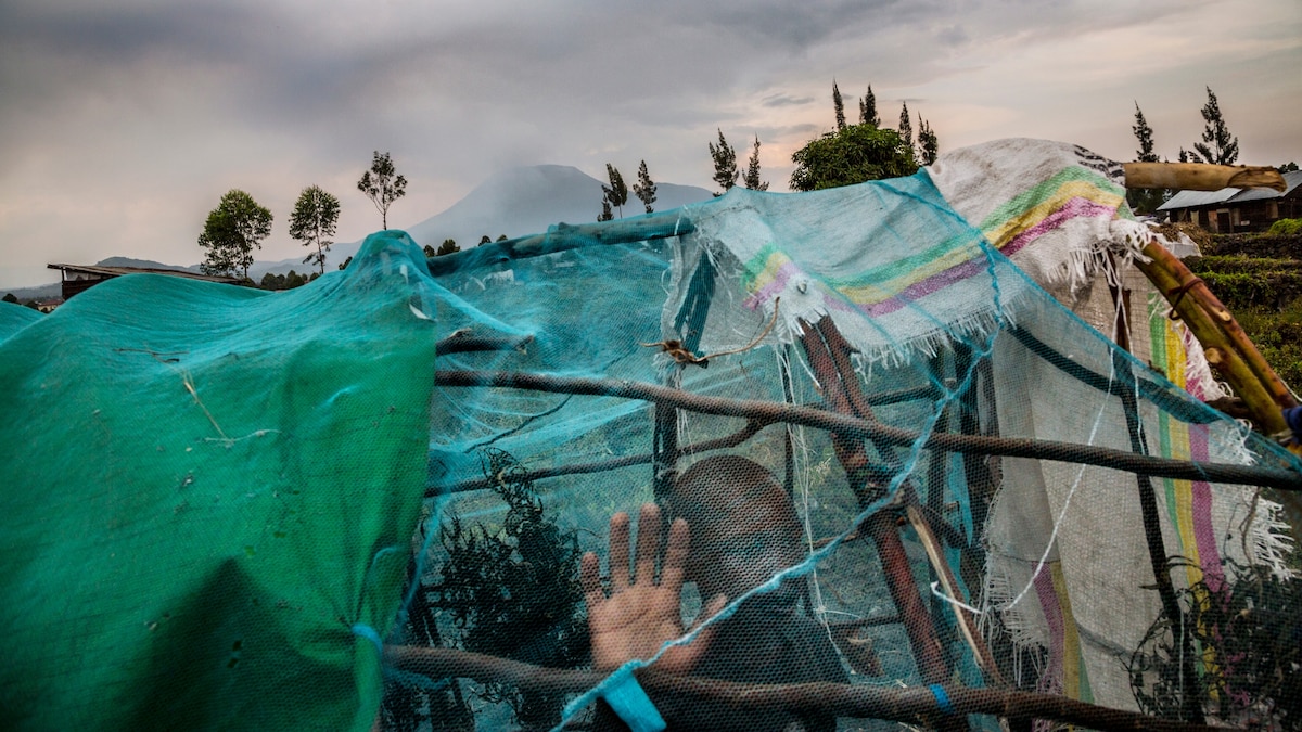11 Heart-Wrenching Pictures Bring Refugee Crisis to Life | National ...