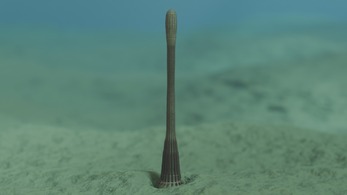 This bizarre ancient worm had spiky teeth and a retractable throat ...