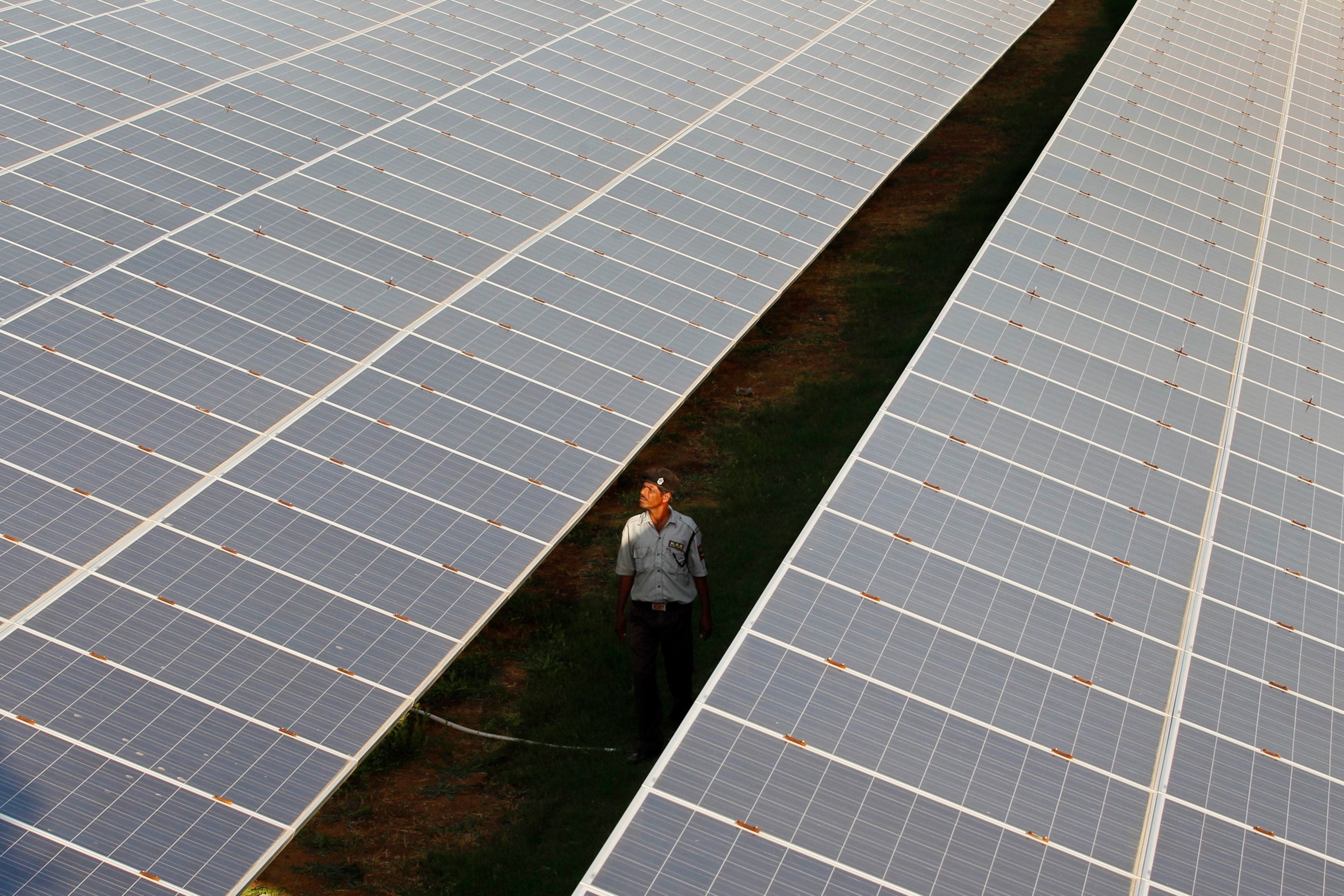 India's Push for Renewable Energy: Is It Enough?