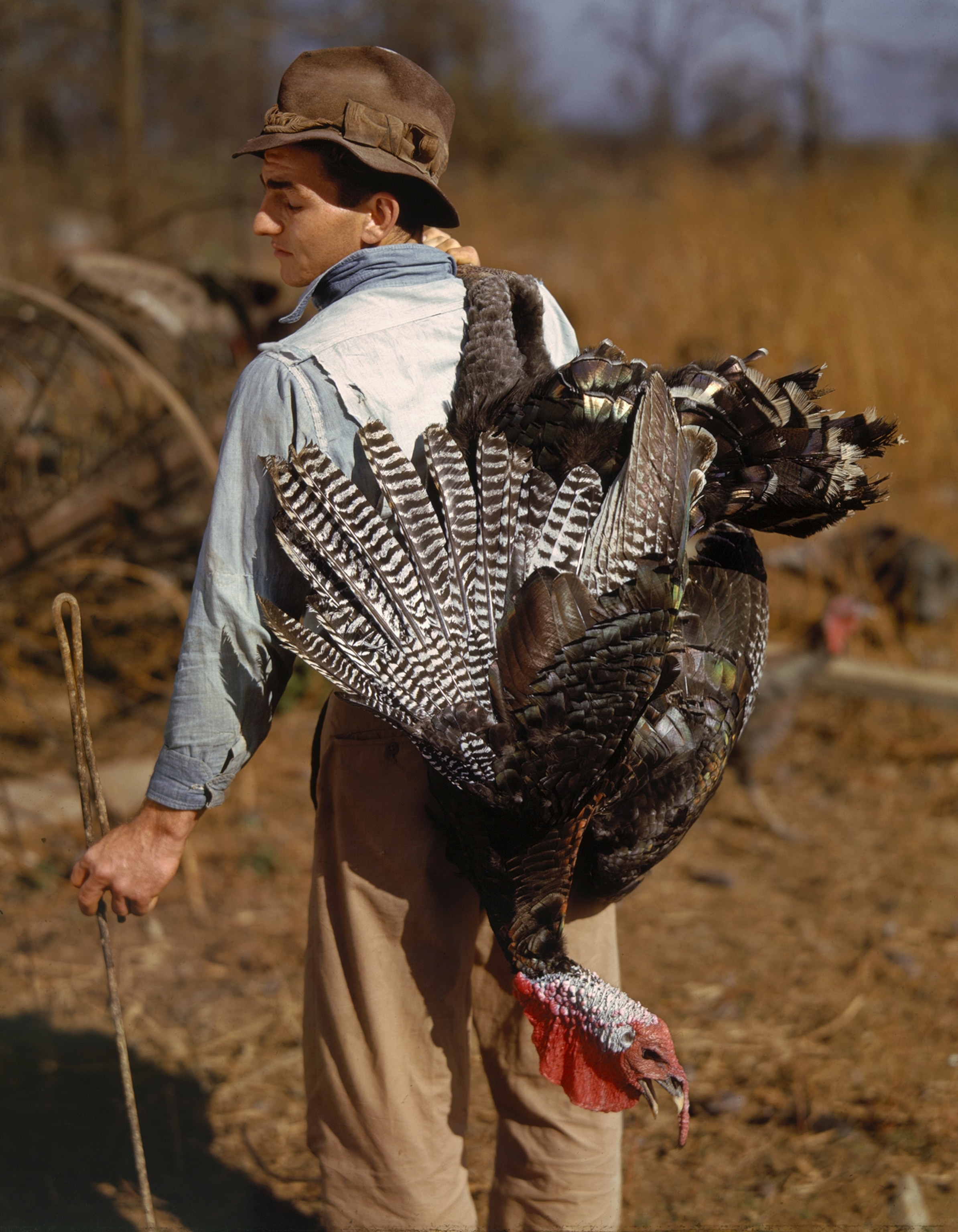 A Tale of Turkey, Apples, and Bread | National Geographic