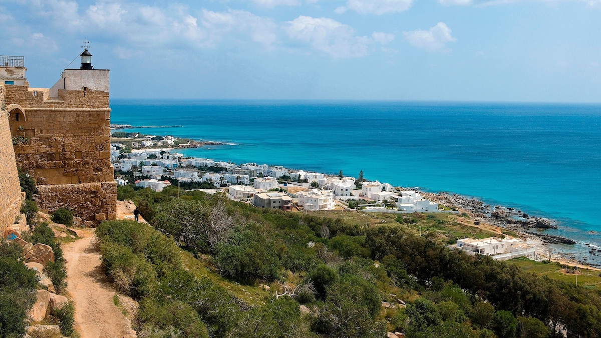 Discover fine wines and fiery flavours on Tunisia's Cap Bon peninsula ...