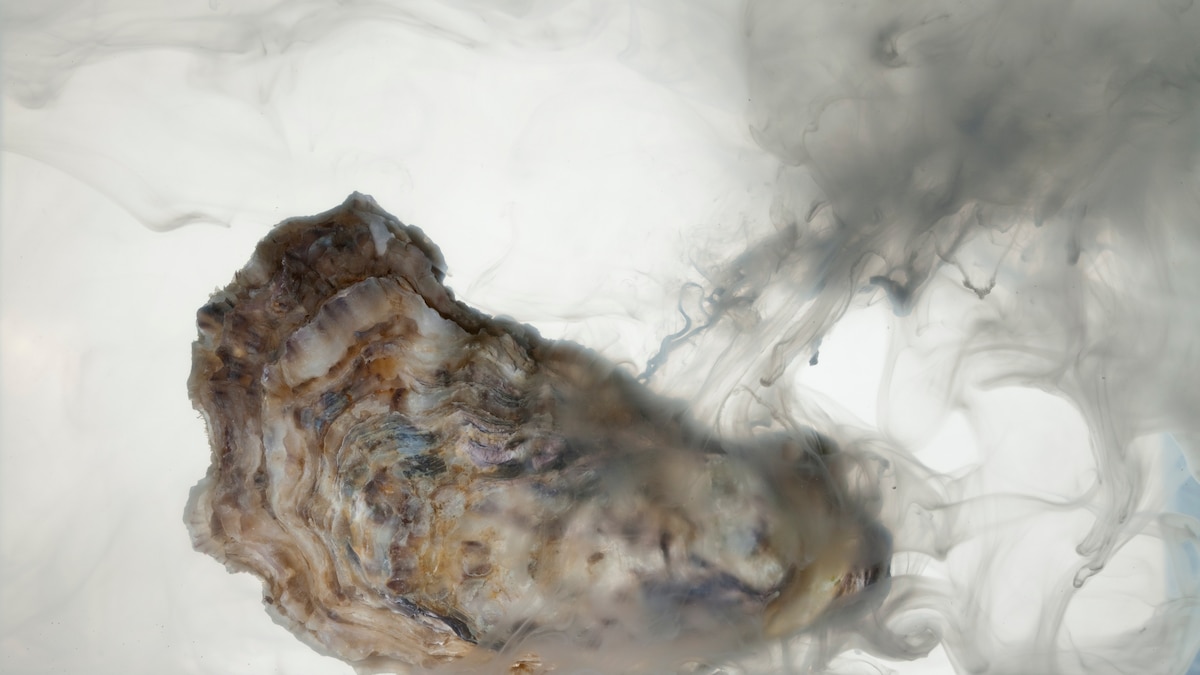 The Acid Sea | National Geographic