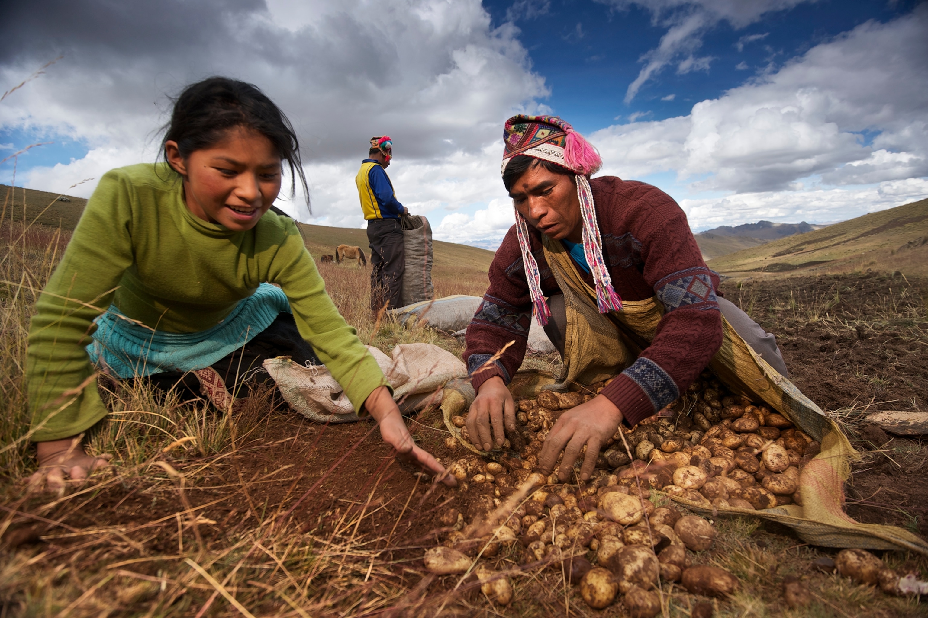Family Farmers Hold Keys to Agriculture in a Warming World | Nat Geo Food