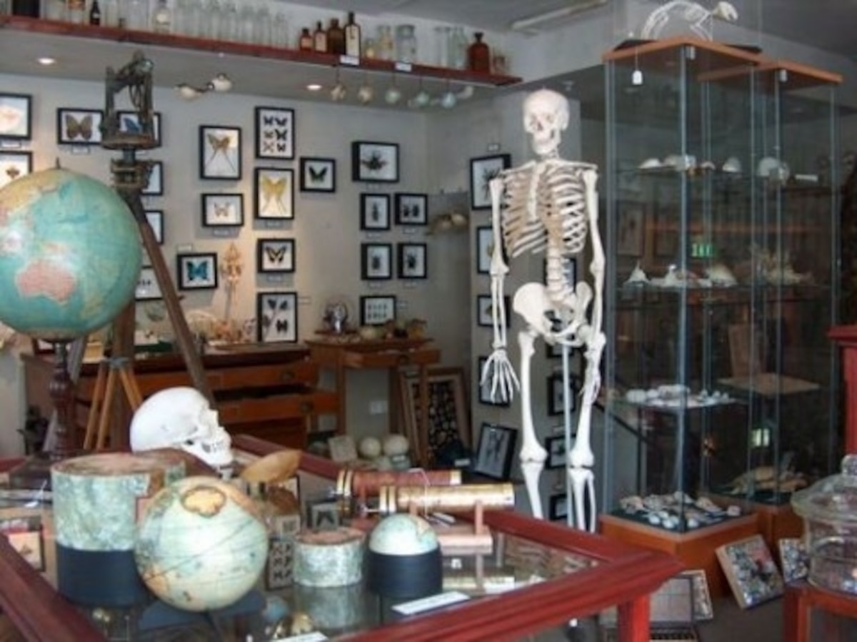 10 Unique Museums Off the Beaten Path