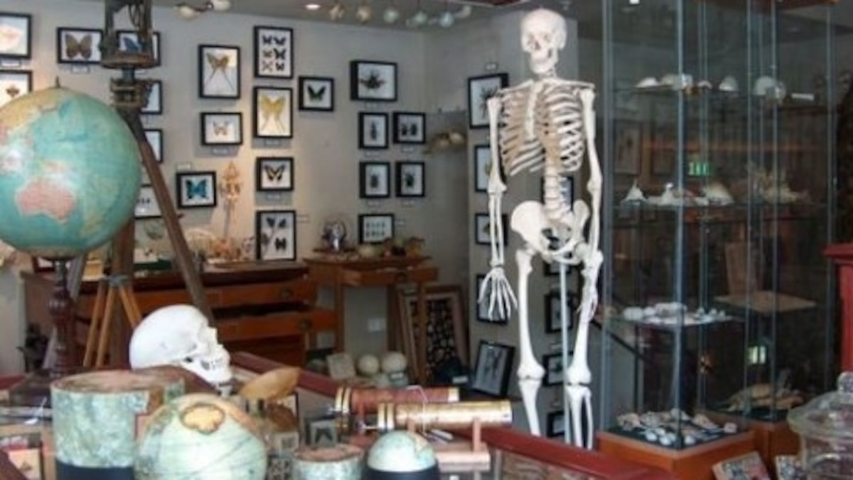 10 Unique Museums Off the Beaten Path | National Geographic