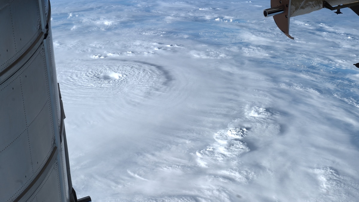 What's a Typhoon, Anyway? | National Geographic