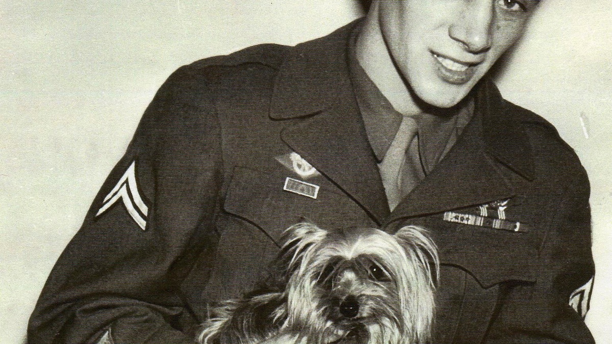 Dogs at War: Smoky, a Healing Presence for Wounded WWII Soldiers ...