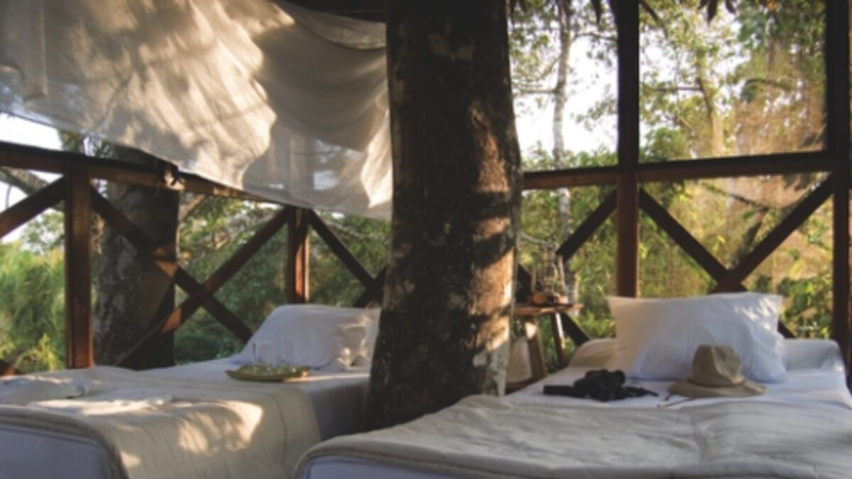 A Treehouse in Peru | National Geographic