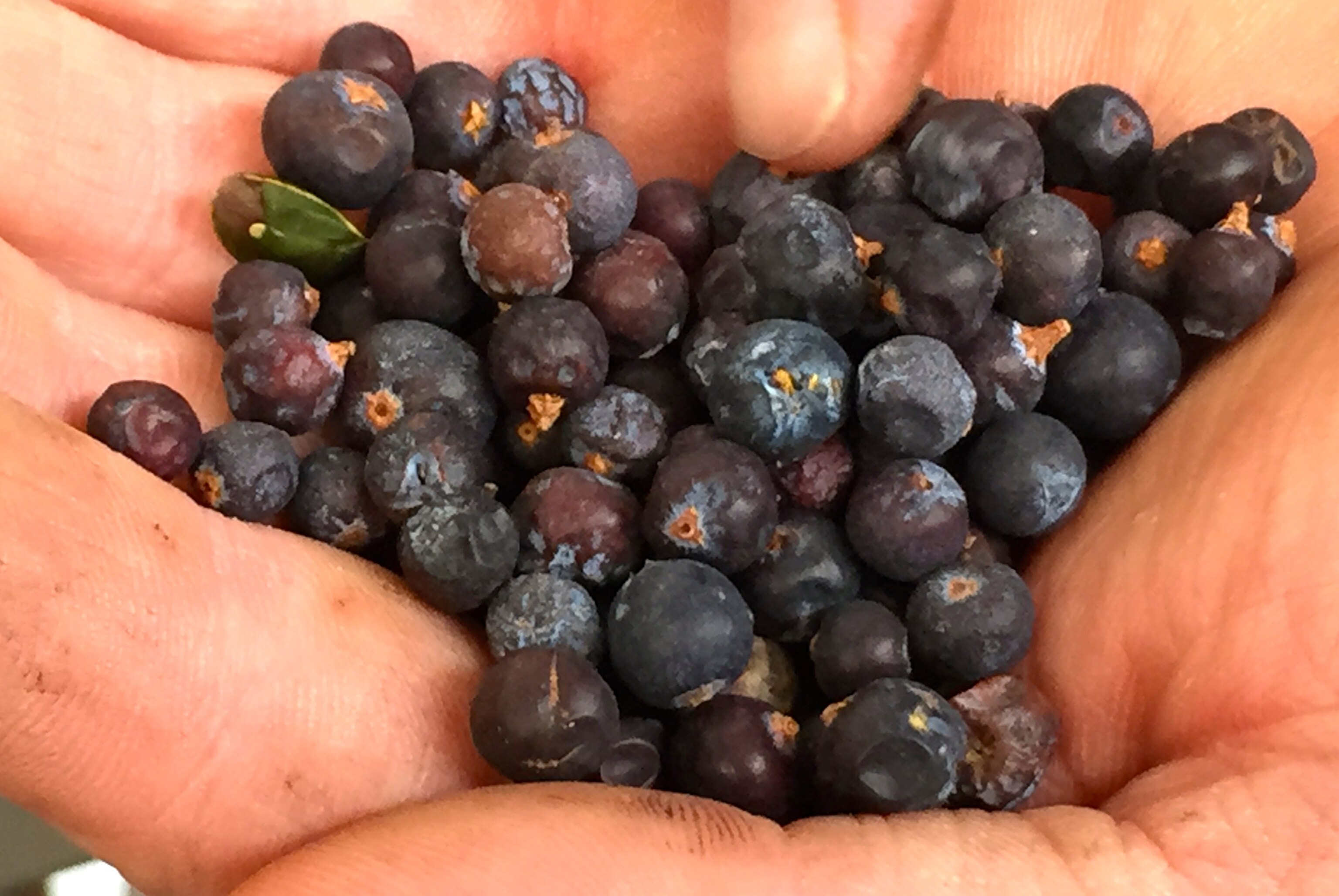 A Craft Booze Boom Begins in Minnesota | National Geographic