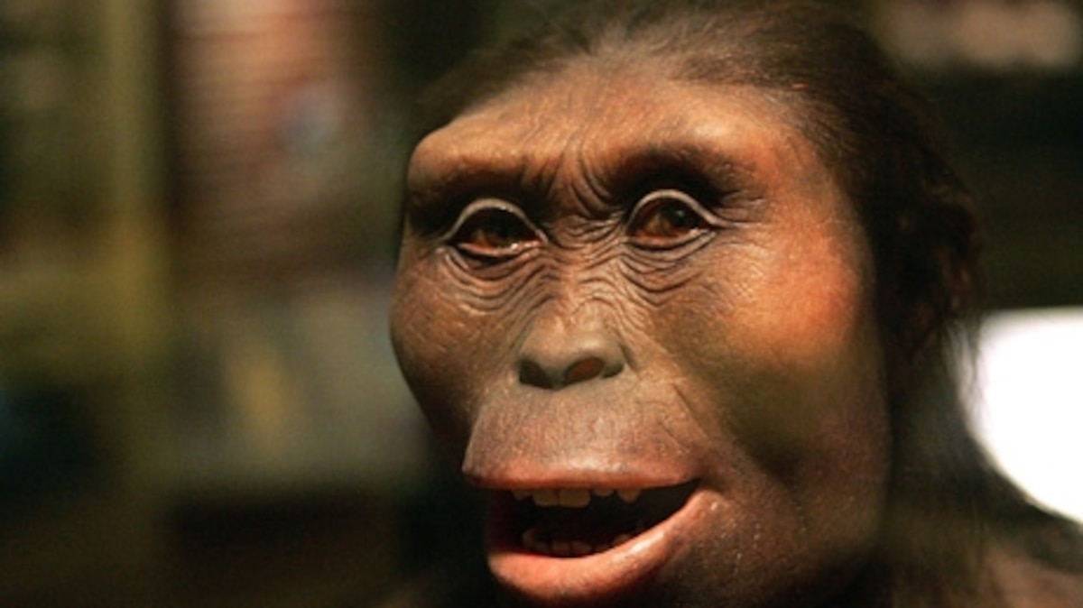 Get Facts on the Early Human Ancestor Lucy | National Geographic